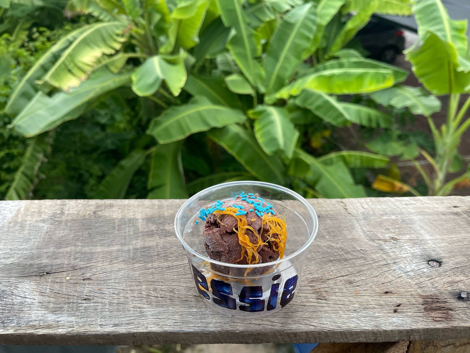 รีวิว Jessie's Ice Cream - Jessie's Ice Cream
