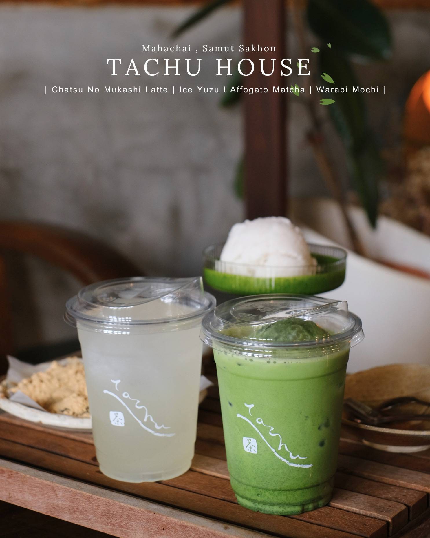 รีวิว Tachuhouse - 🍵🍵🍵 ร้าน Matcha อบอุ่น สงบ ร่มรื่นมาก
