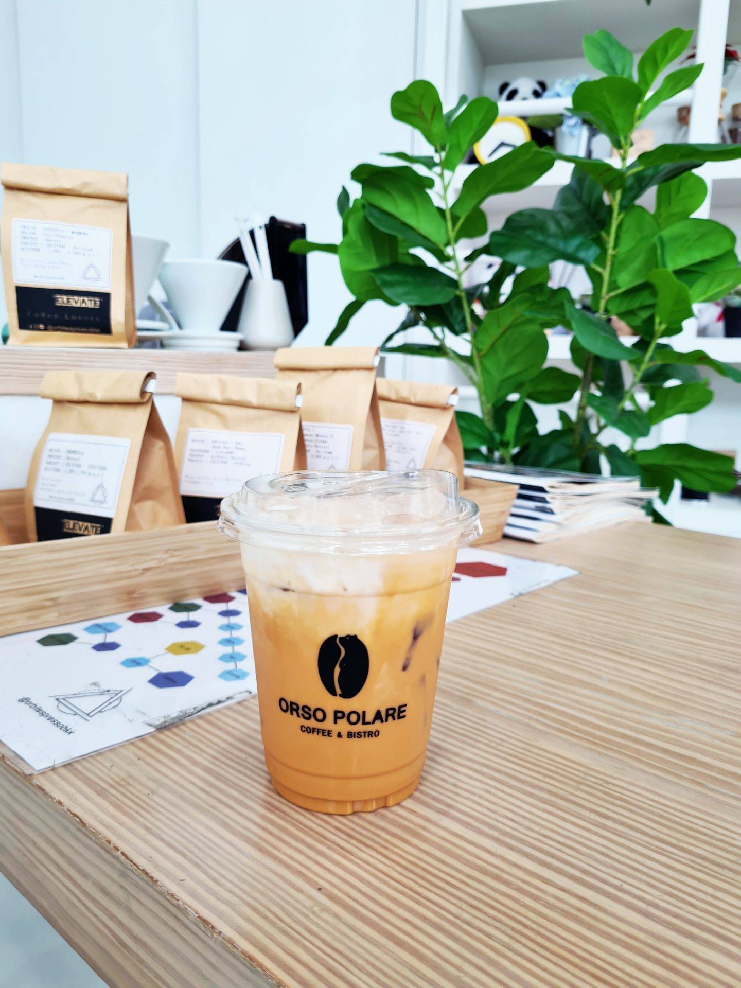 รีวิว ORSO POLARE Coffee And Bistro - คาเฟ่และ co-working space ...