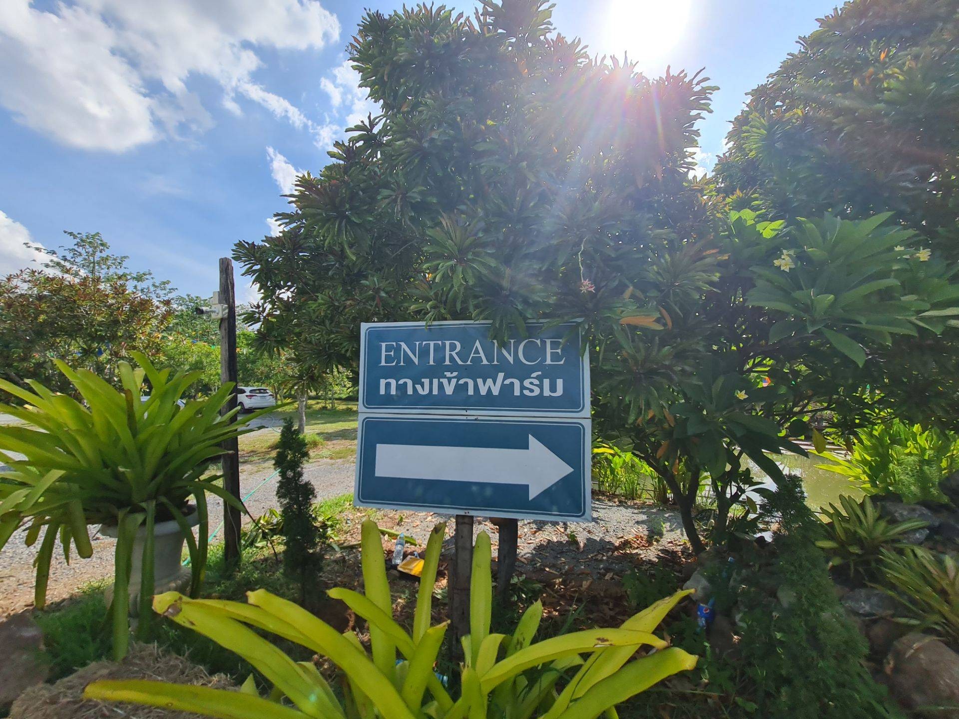 รีวิว G-farm - คาเฟ่ มาเมืองปทุม