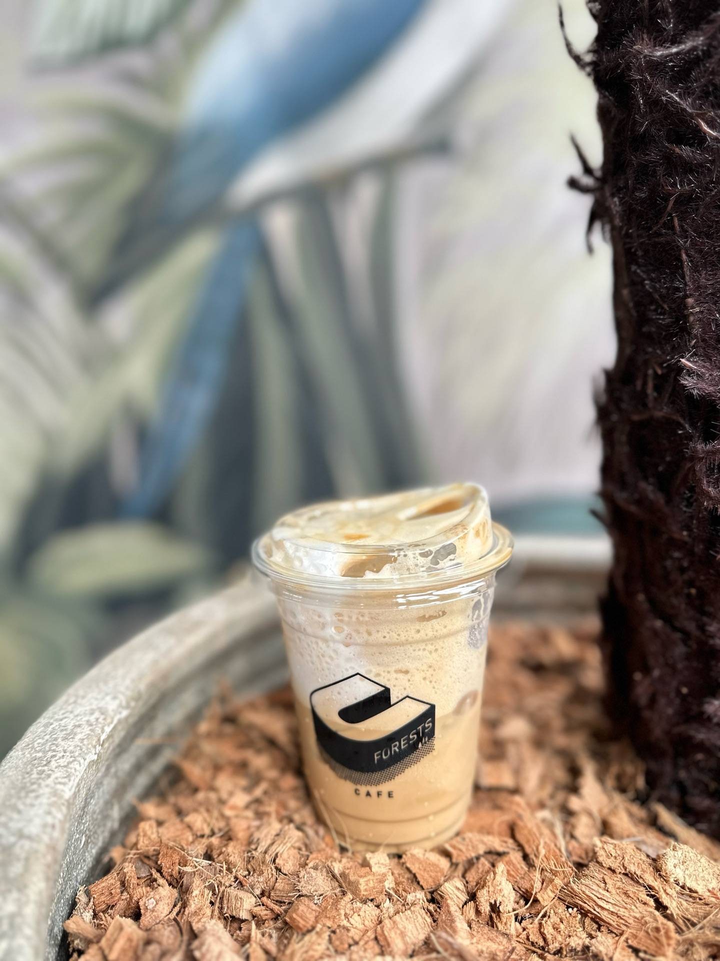 รูป U Forests cafe ระยอง