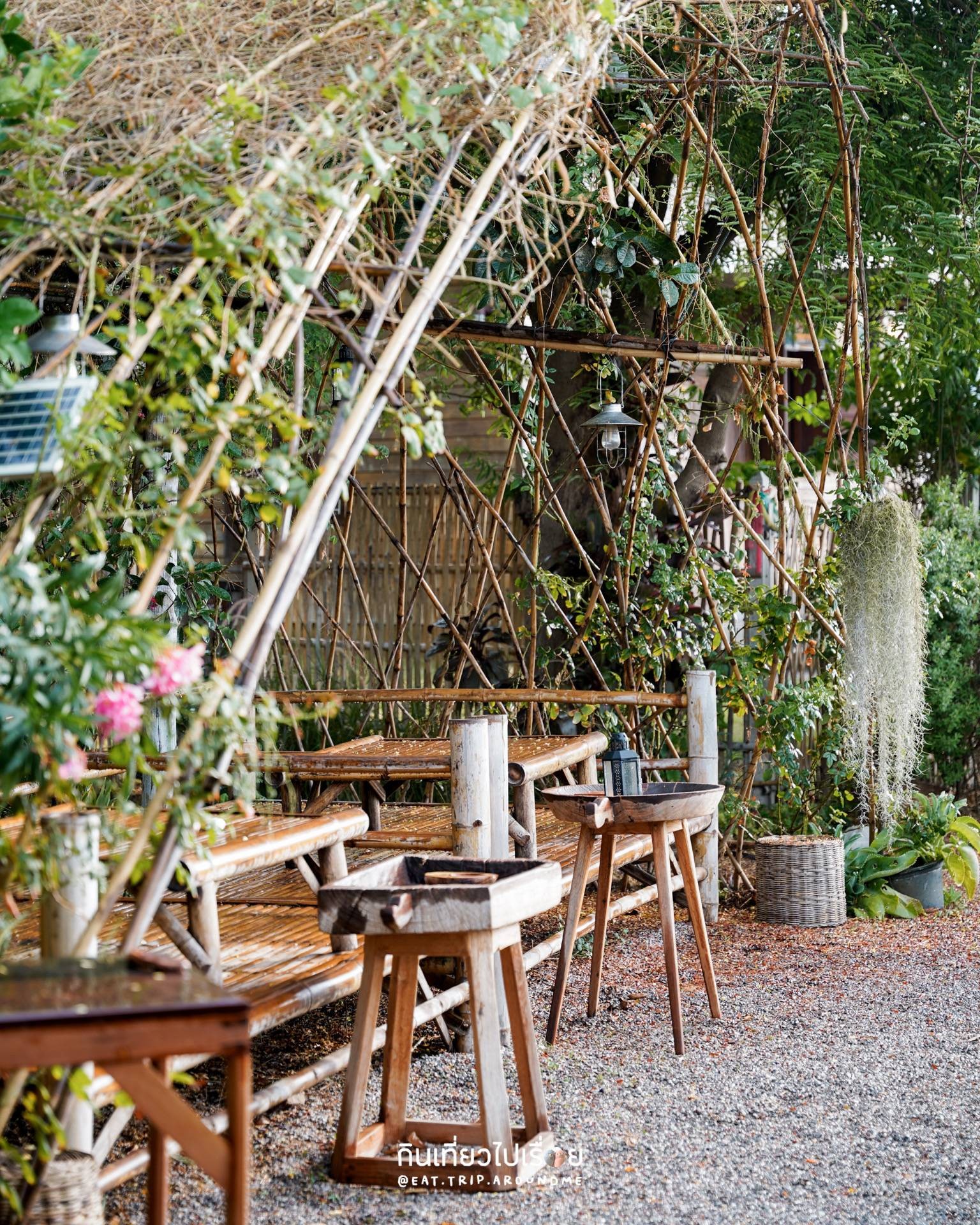 รูป Pranberry Field ปราณบุรี