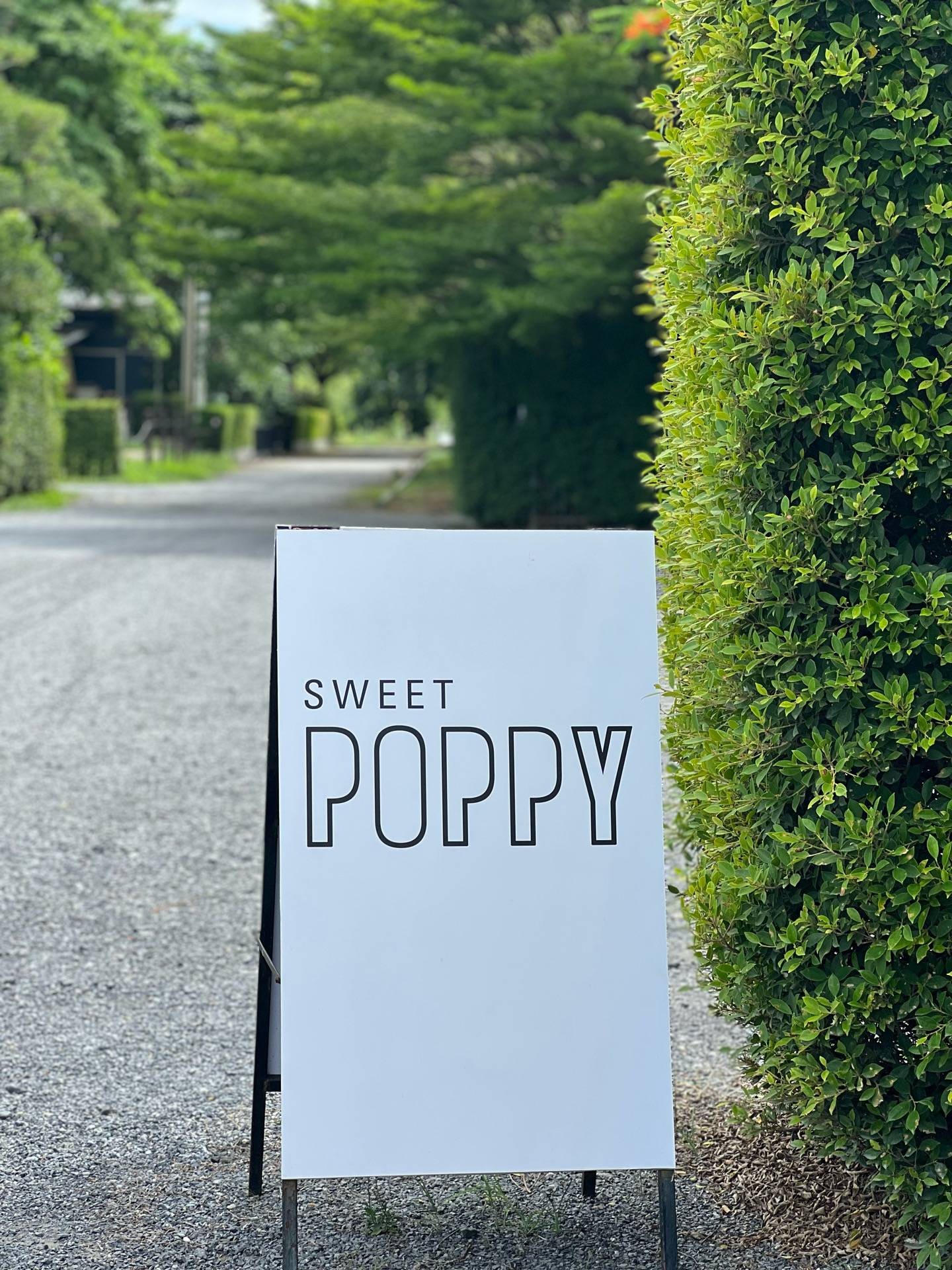 รีวิว Sweet Poppy - Friendly to kids but not to the wallet 💼