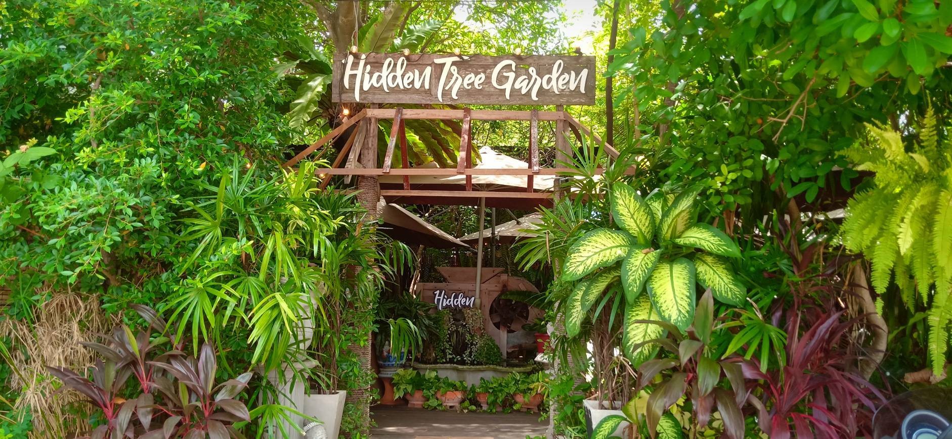 รูป Hidden Tree Garden Specialty Coffee