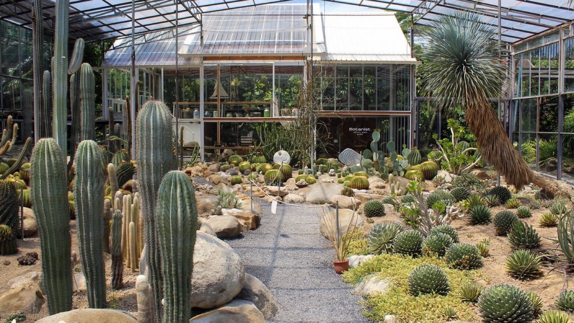 [รีวิว] ร้าน Botanist activity space & cafe | เมนูแนะนำ รูปภาพ ราคา