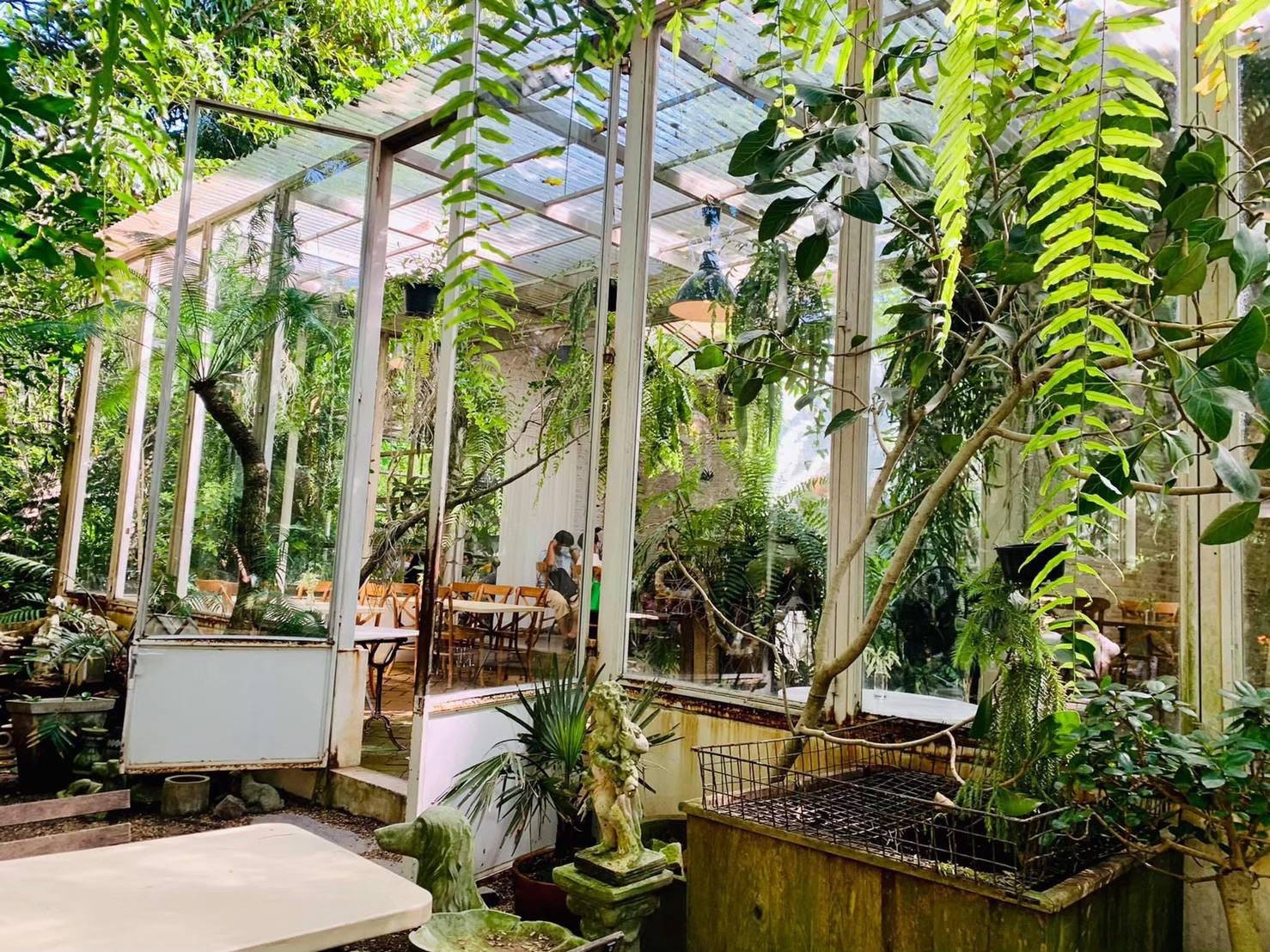 รูป Little Tree Garden บ้านใหม่