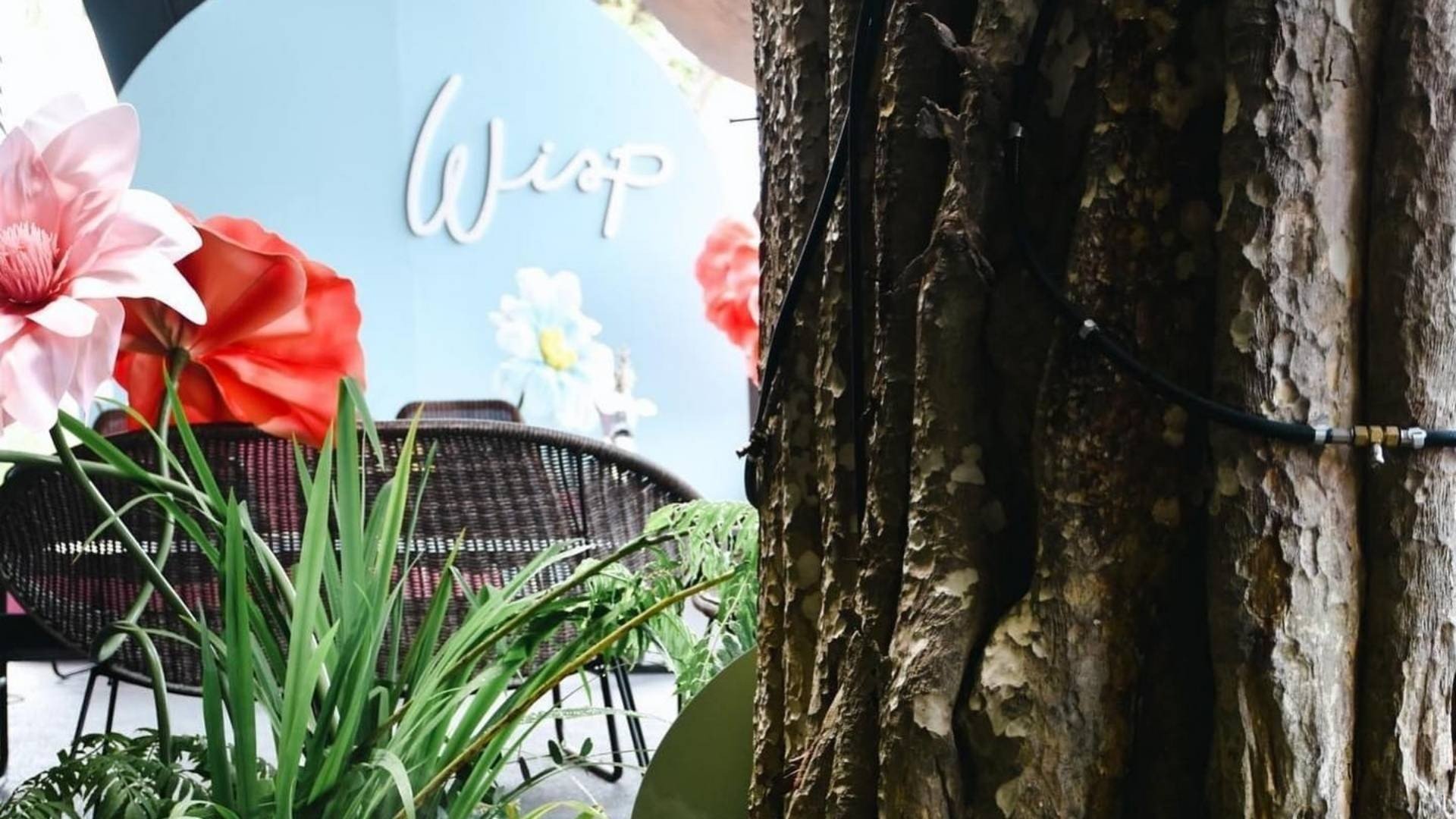 [รีวิว] ร้าน Wisp Cafe Rayong | เมนูแนะนำ รูปภาพ ราคา