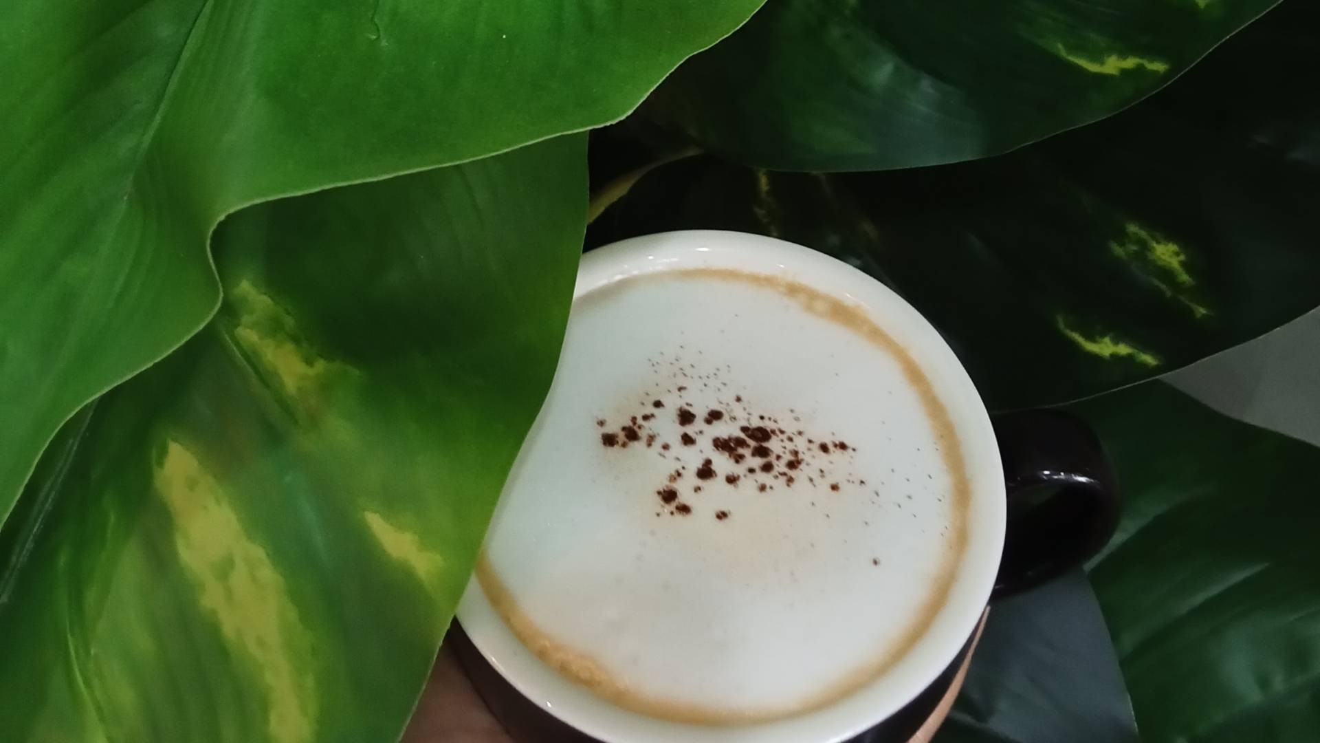 The Ram Cafe Coffee - สั่งอาหารเดลิเวอรี | Wongnai x LINE MAN