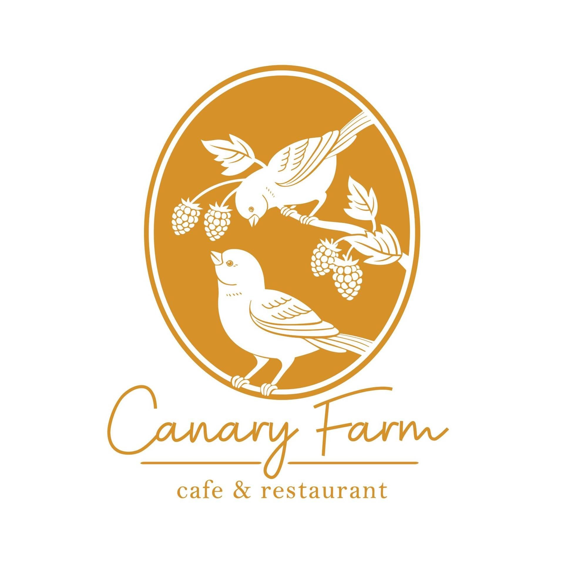 ร้าน Canary Cafe & Restaurant | รีวิวร้านอาหาร