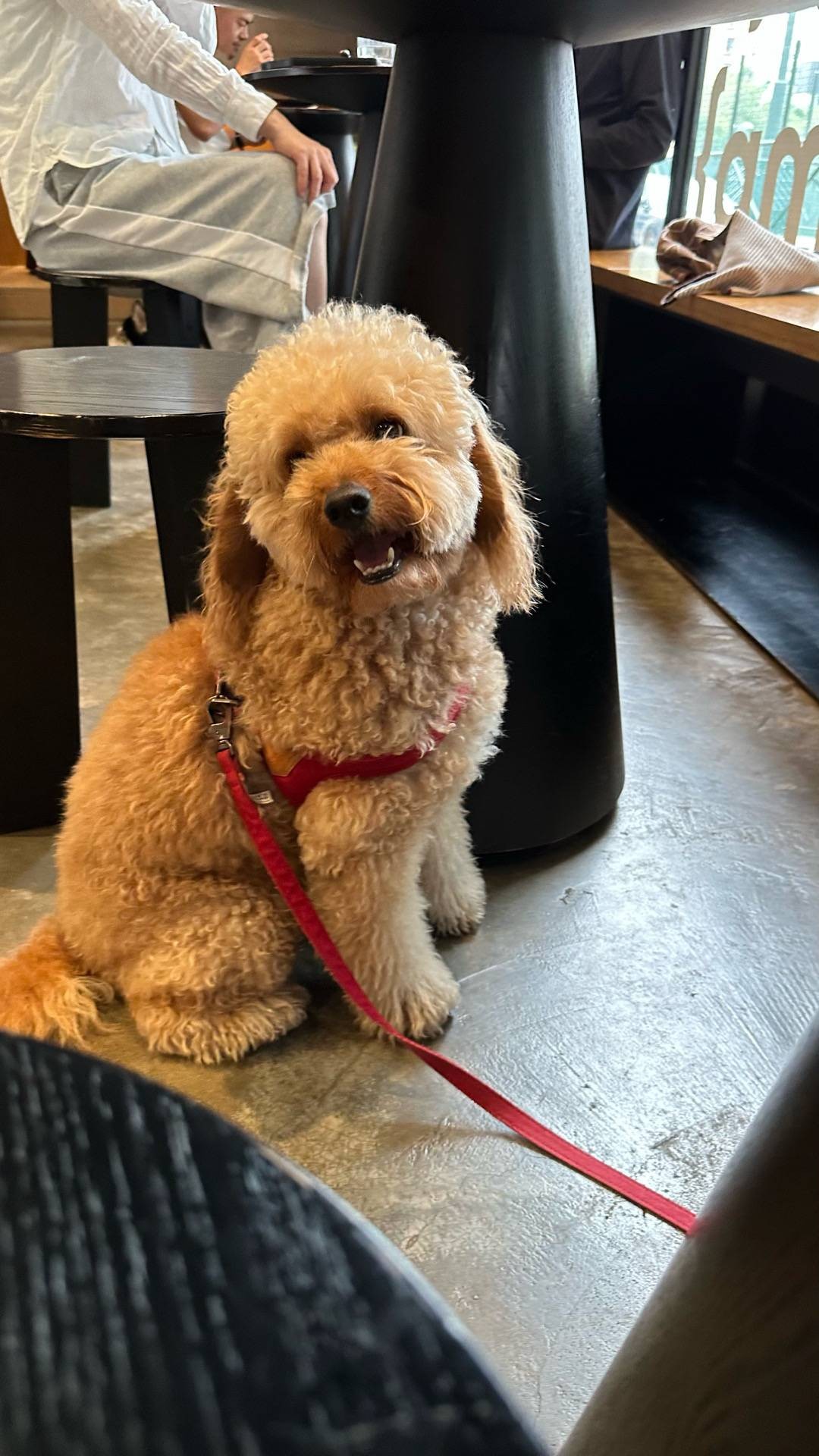 ร้าน The Cupping Room Po Hing Fong | รีวิวร้านอาหาร