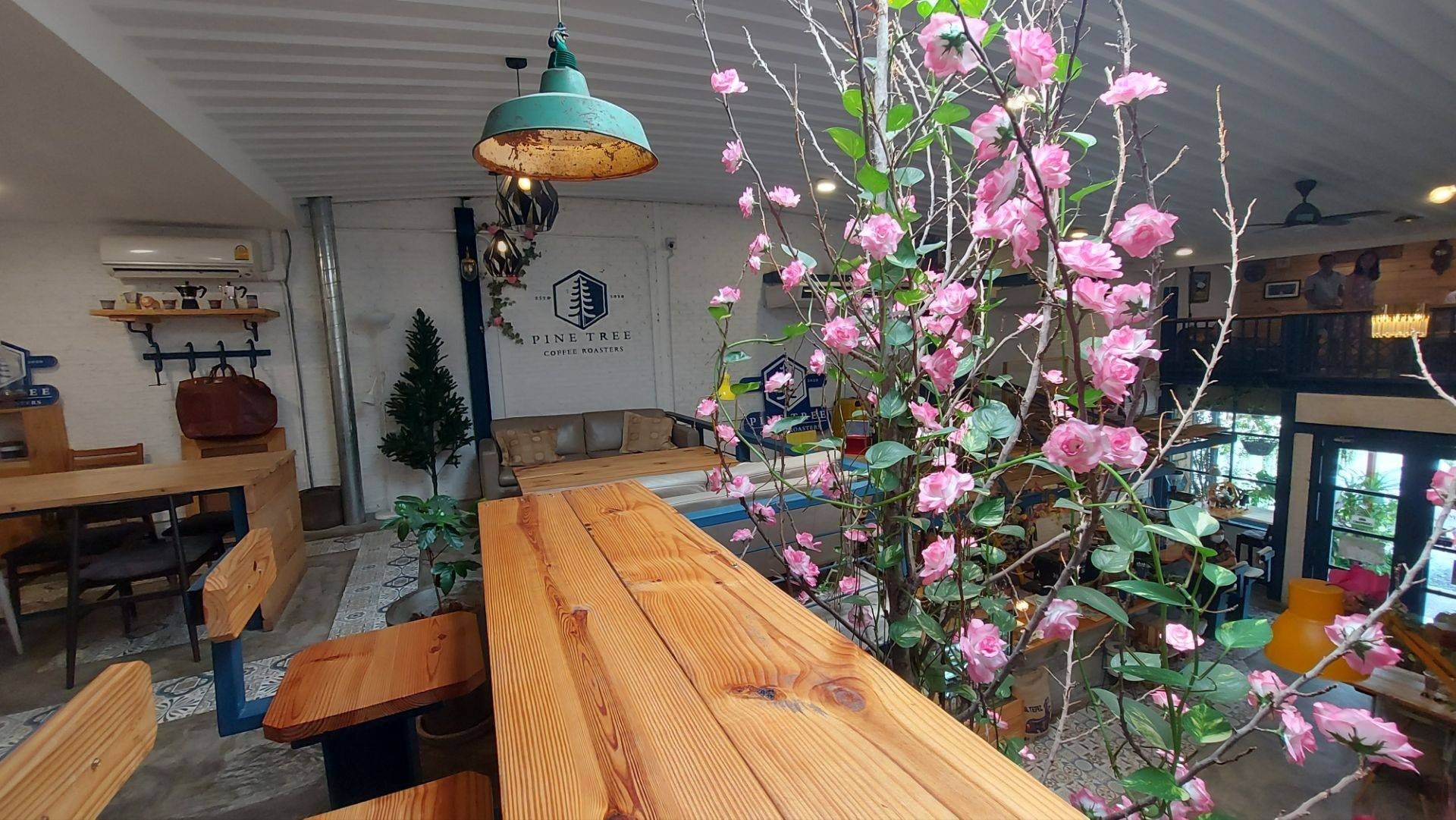 รีวิว Pine Tree Coffee Roasters - Snowcoff น้ำมะพร้าวปั่นใส่ผงมะพร้าว ...