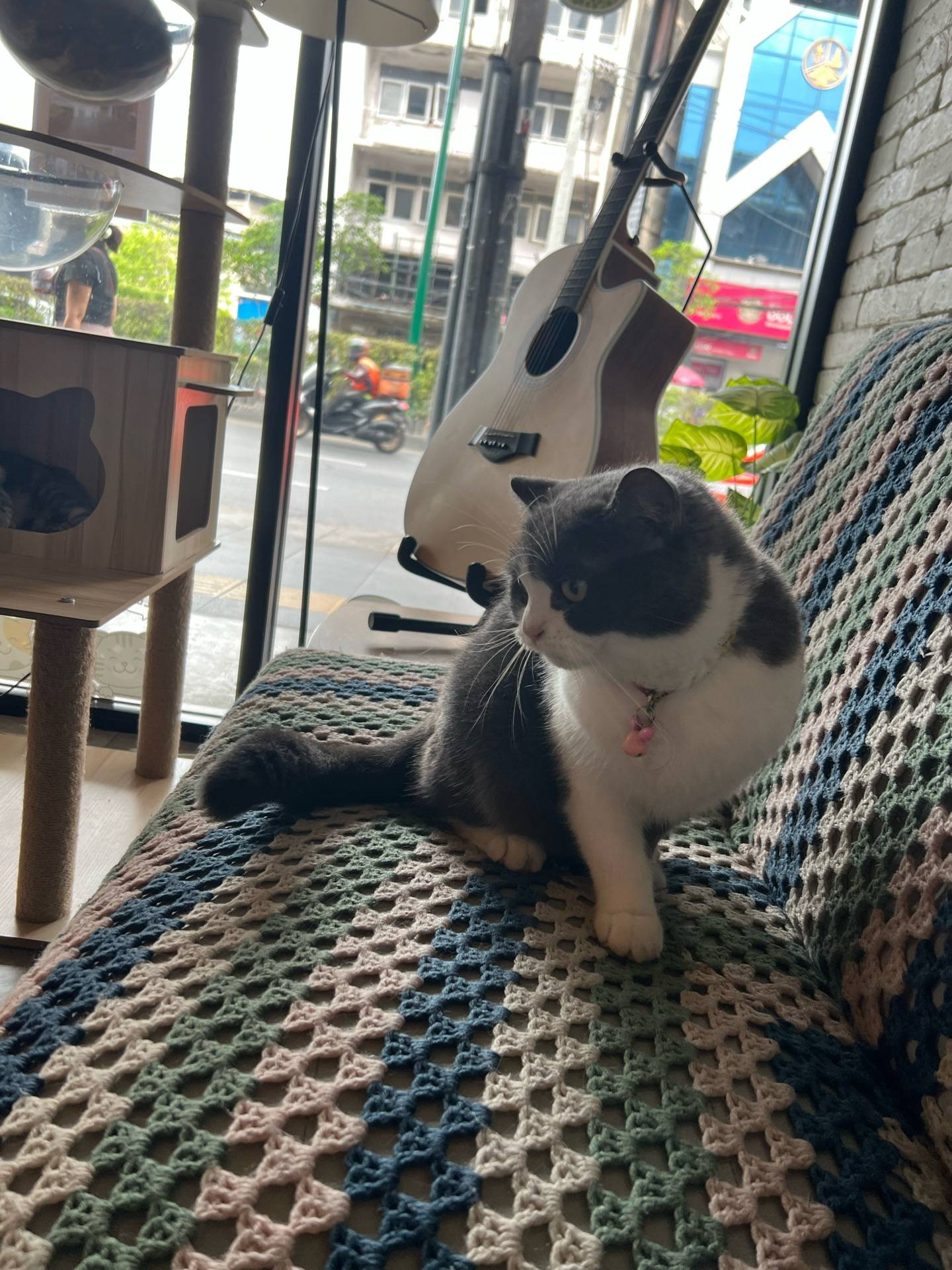 รูป Cazz Cafe - แคซคาเฟ่ สุขุมวิท พระโขนง