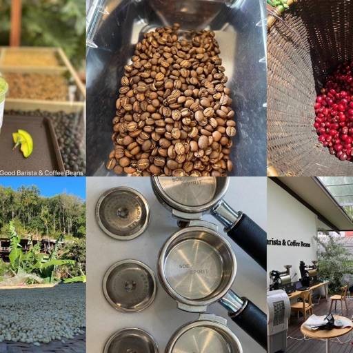 [รีวิว] ร้าน Good Barista & Coffee Beans | เมนูแนะนำ รูปภาพ ราคา