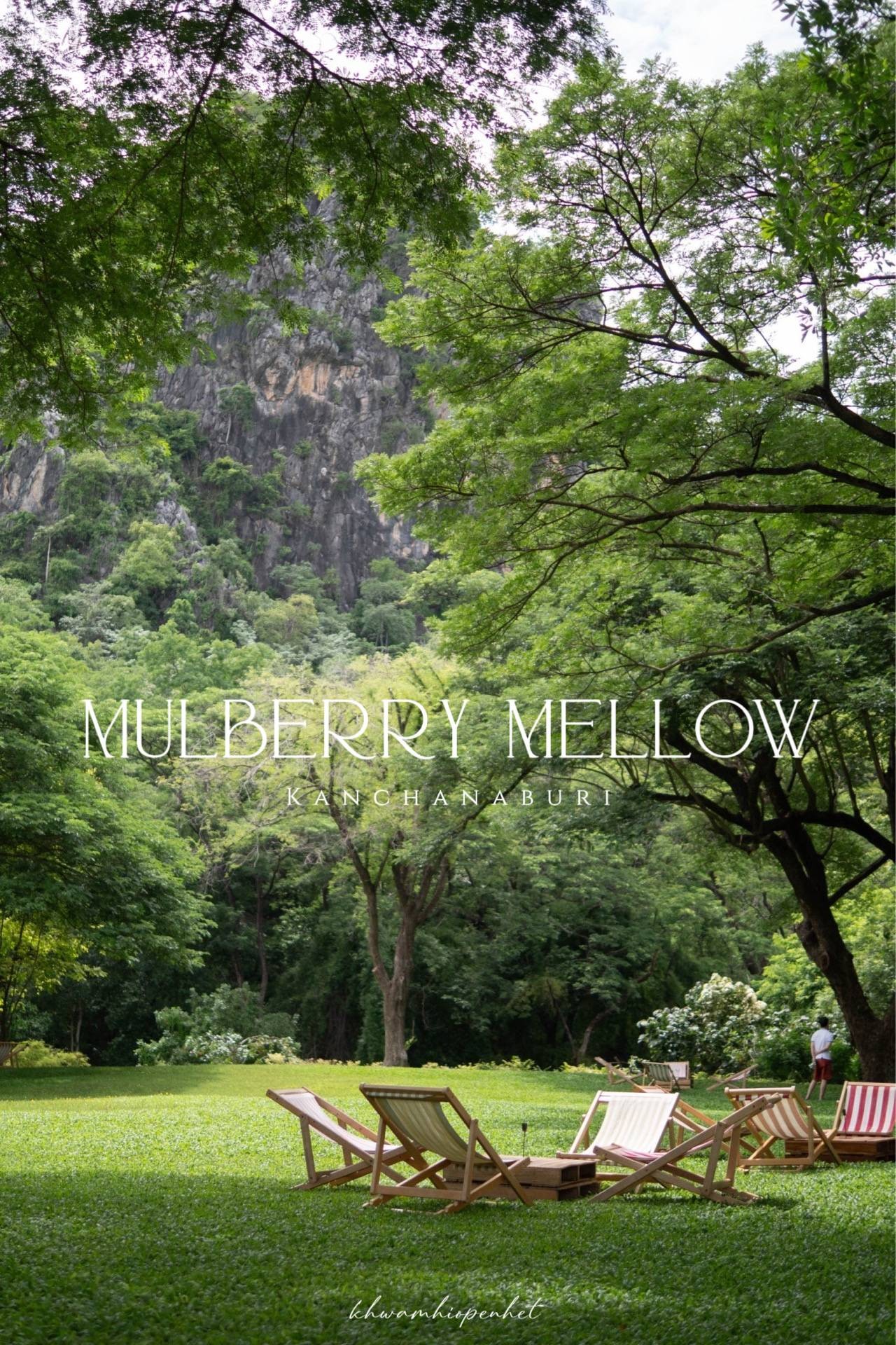 รีวิว Mulberry Mellow แคชเชียร์ร้าน 1 - Mulberry Mellow มัลเบอร์รี่ เมลโล่
