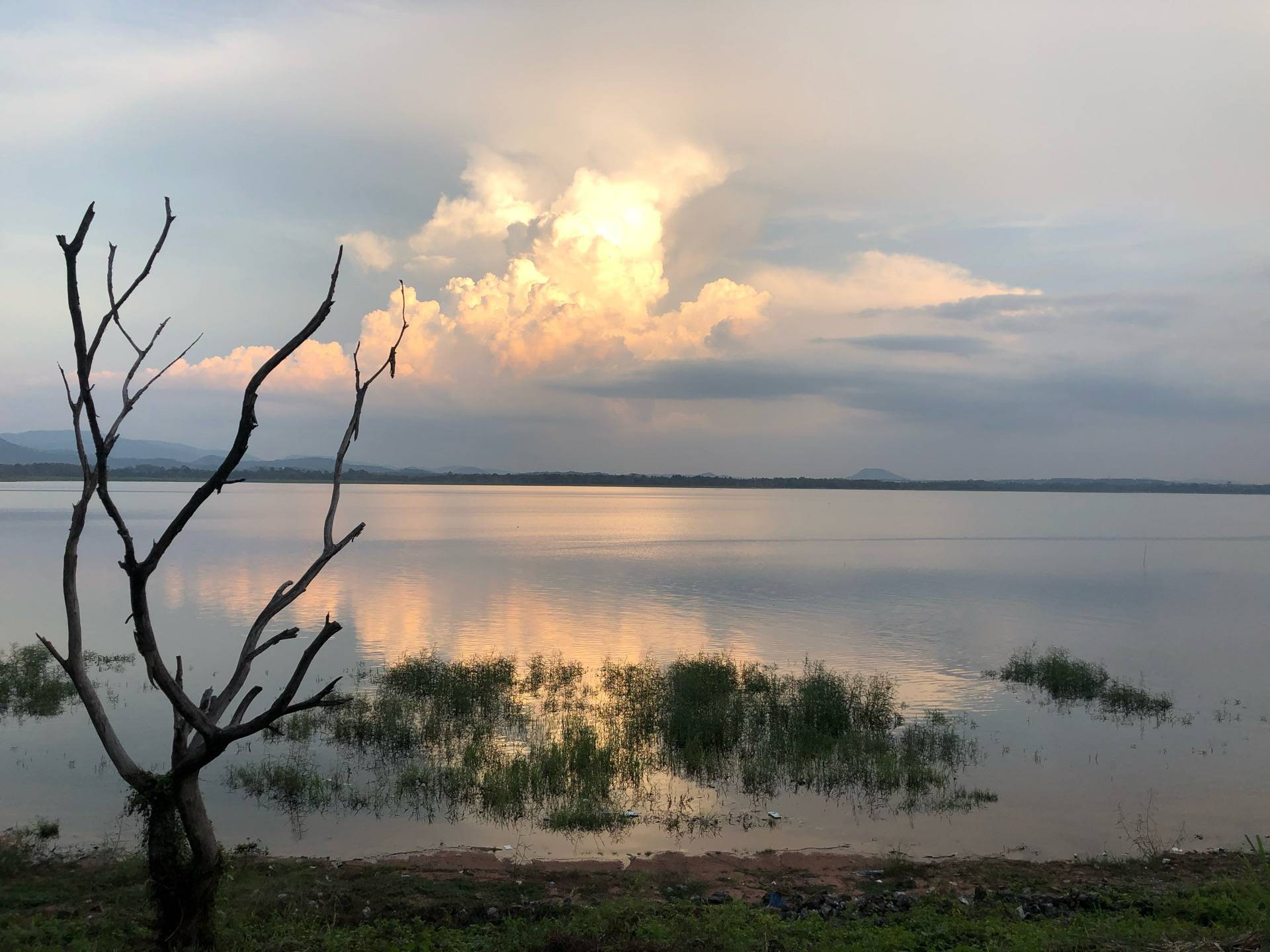 รูป เบอร์เกอร์ลุงเจี๊ยบ (Uncle Jeab Burger)