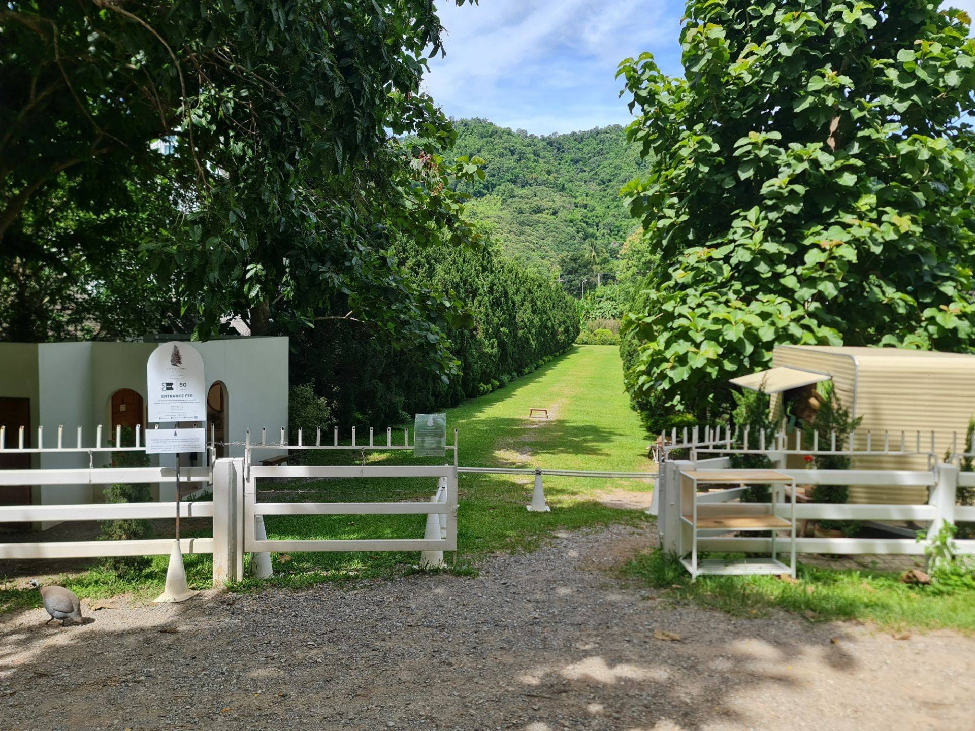 รีวิว Rachel Coffee and Community - กาแฟ อร่อยบรรยากาศดี ราคาไม่แพง