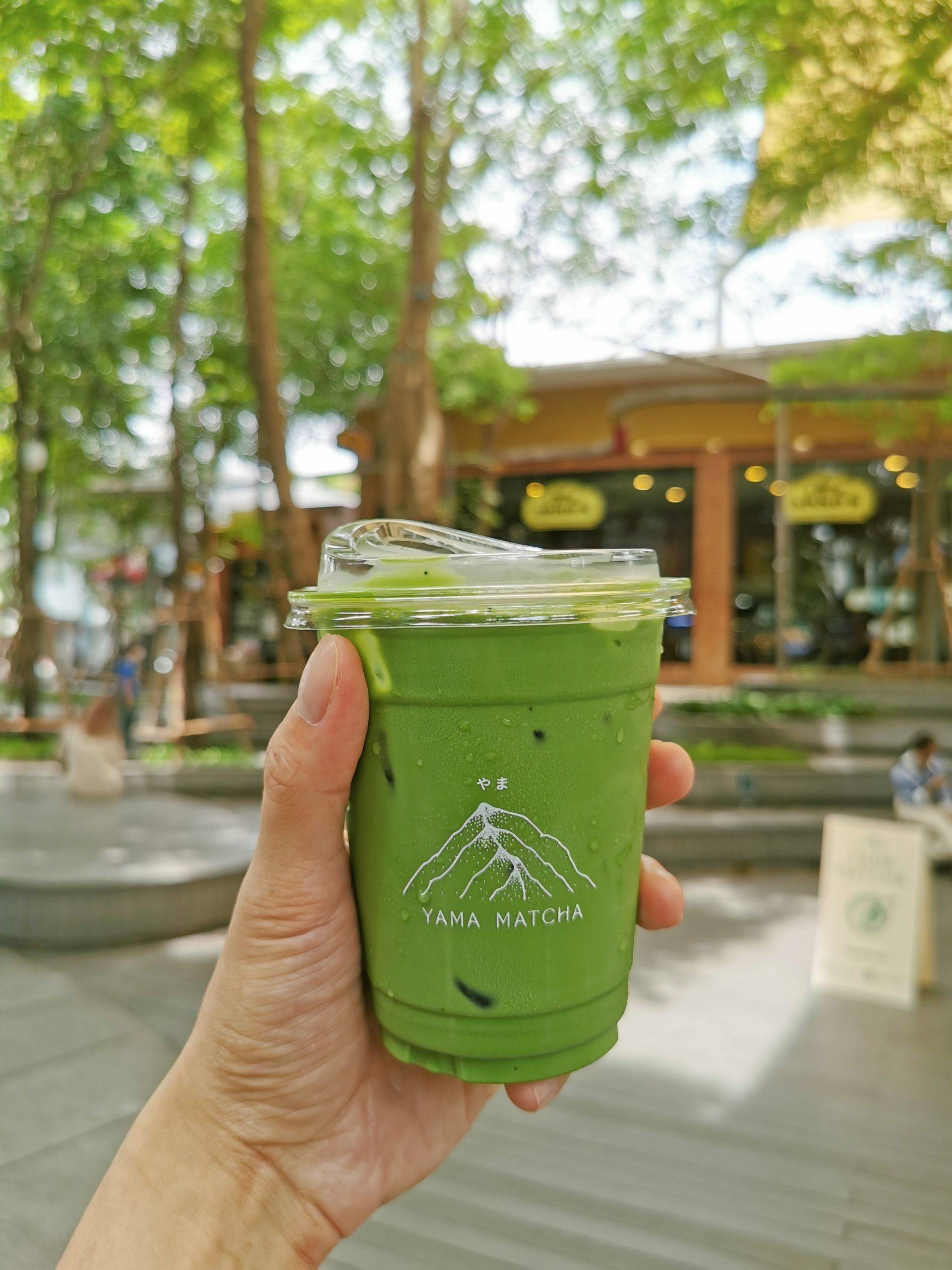 Uji Samidori Latte ร้าน Yama Matcha (pop Up Booth At The Circle) Pop up ...