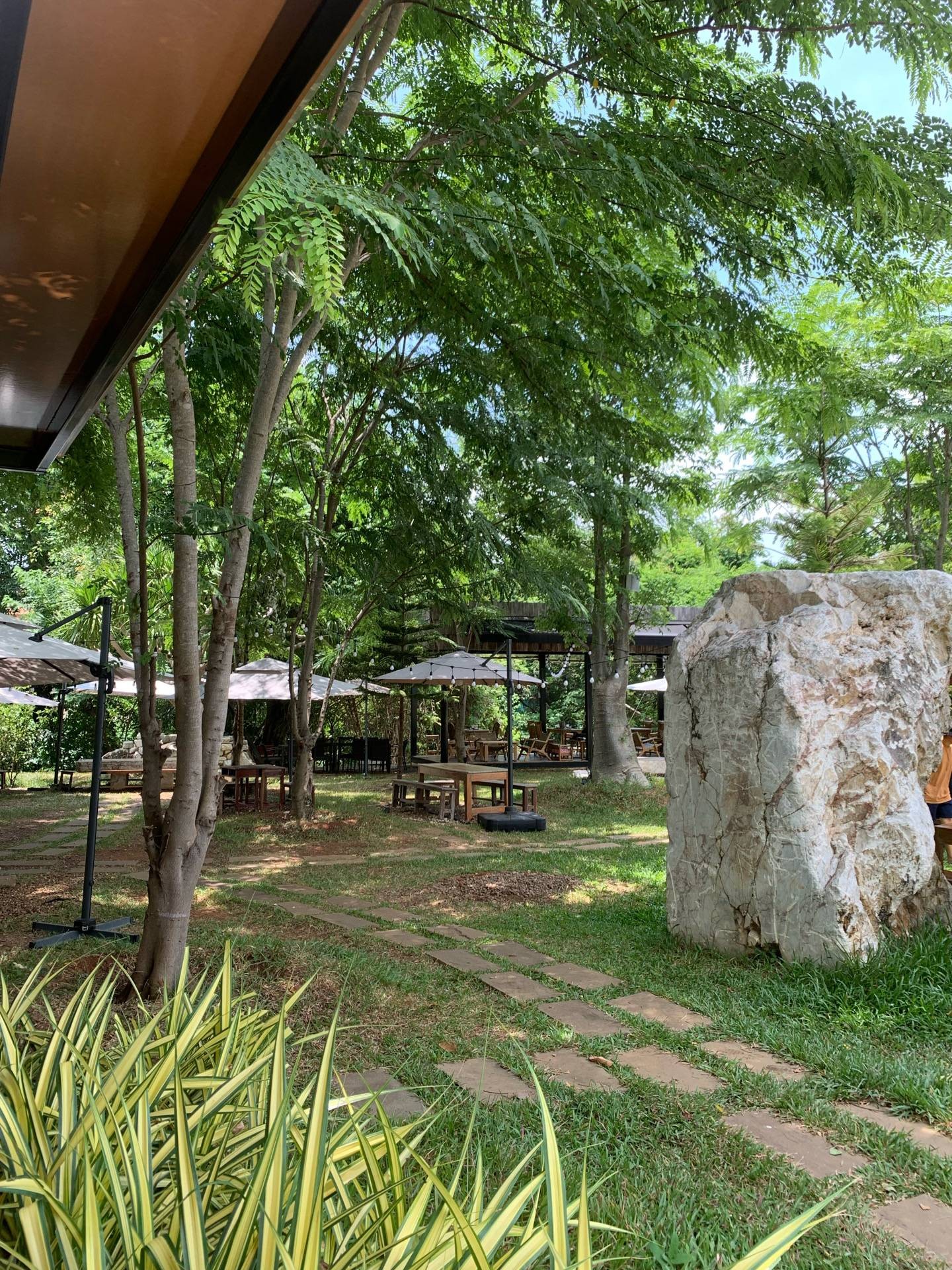 รูป Within Khaoyai