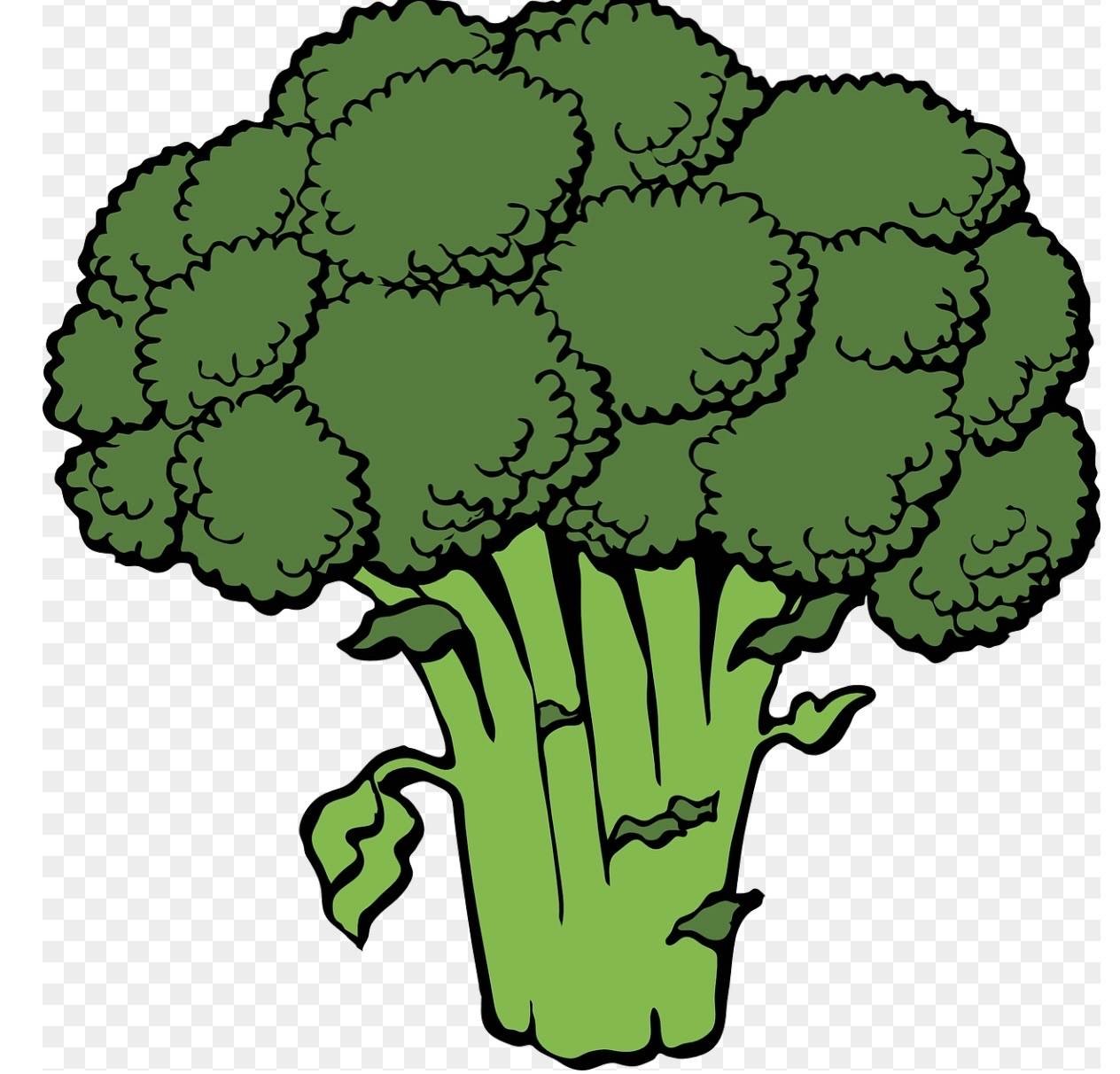 ร้าน น้ำขึ้นฉ่ายฝรั่งสด (เจ้าเก่าหน้าสงเคราะห์) | รีวิวร้านอาหาร