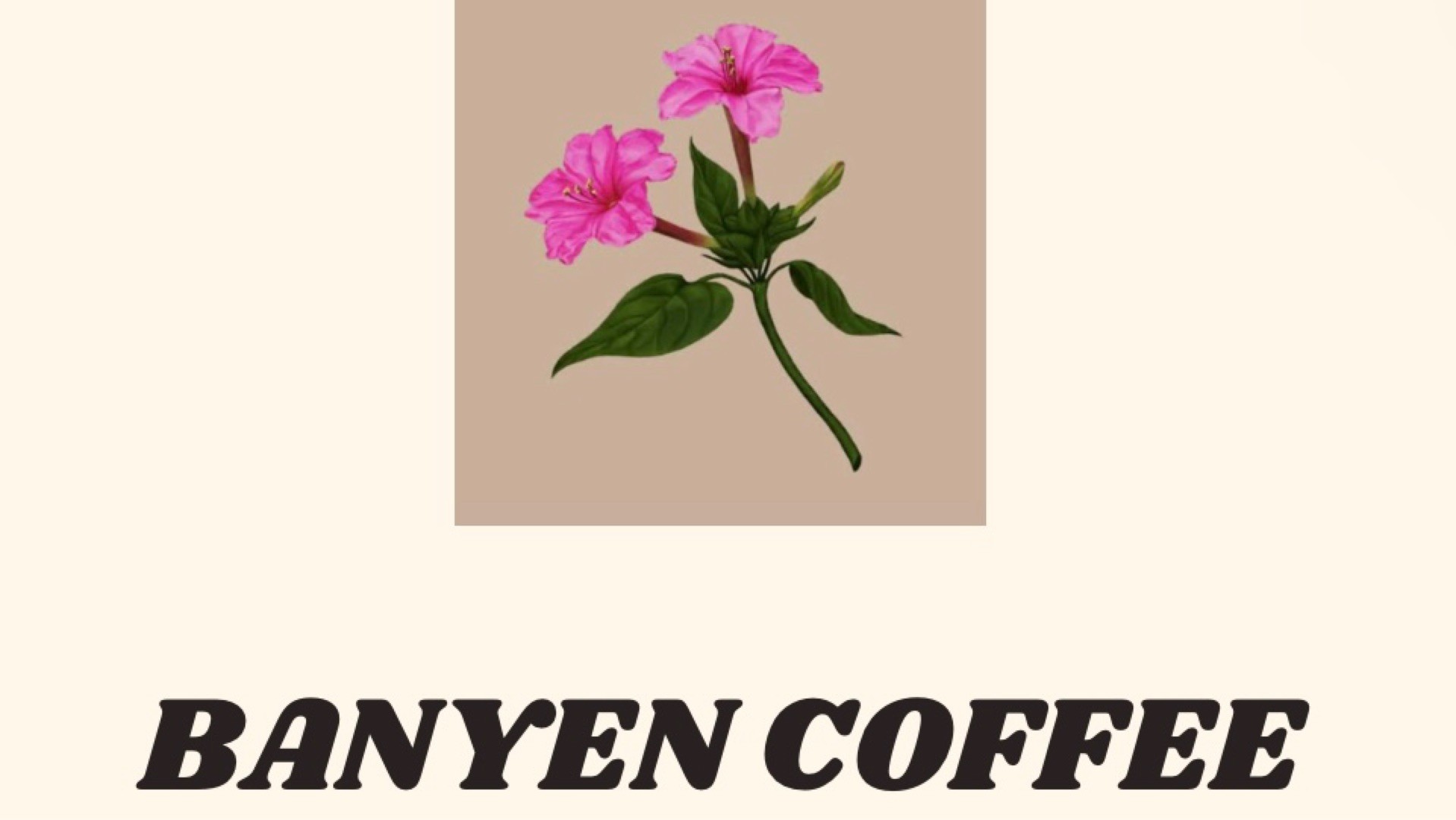 ร้าน 🌺BANYEN COFFEE🌺 บานเย็นค็อฟฟี่ | รีวิวร้านอาหาร