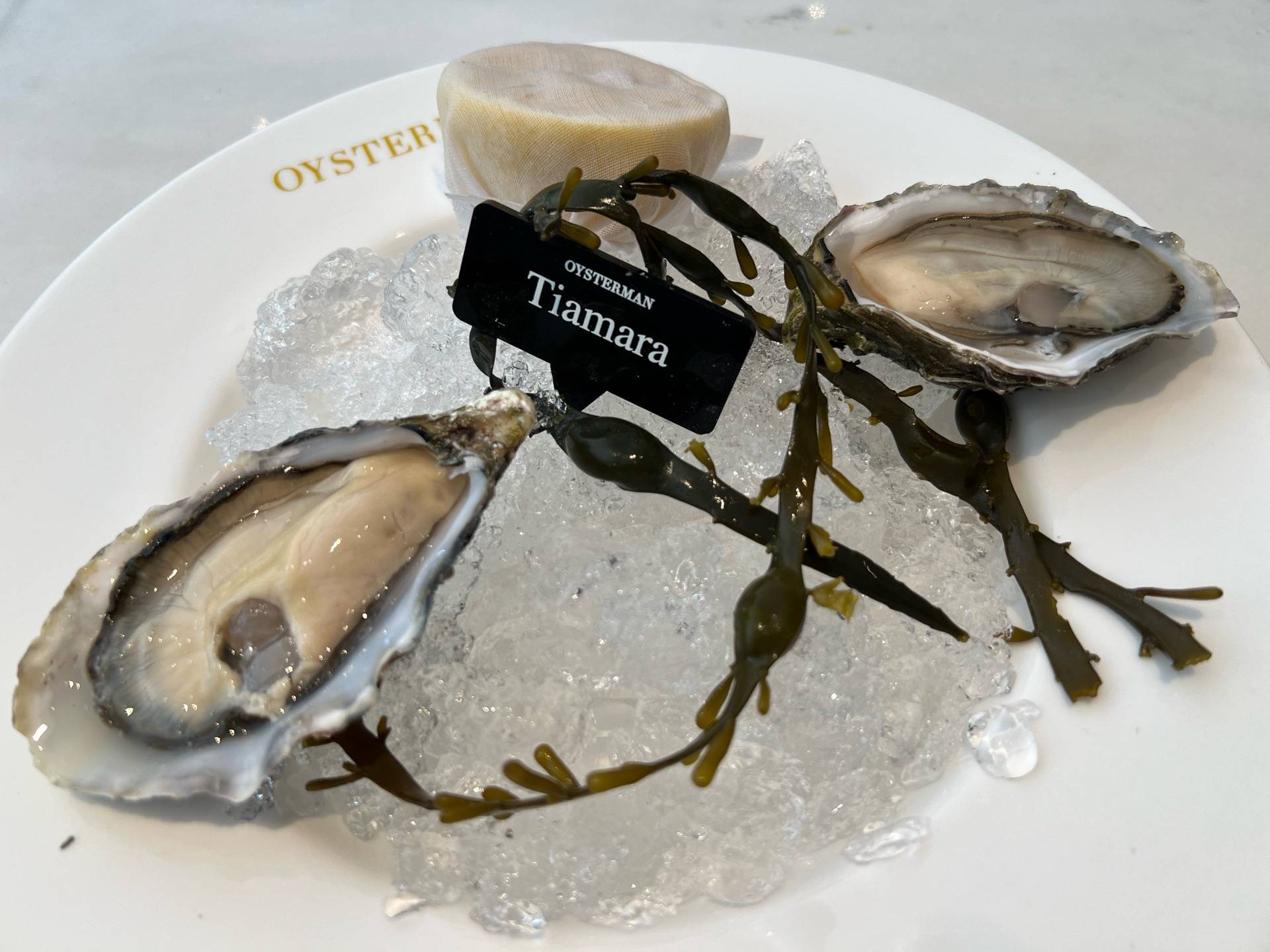 รีวิว OYSTERMAN ( Sathorn 10 ) สาทร 10 - Oyster มีหลายสายพันธุ์ดี ชอบ ...