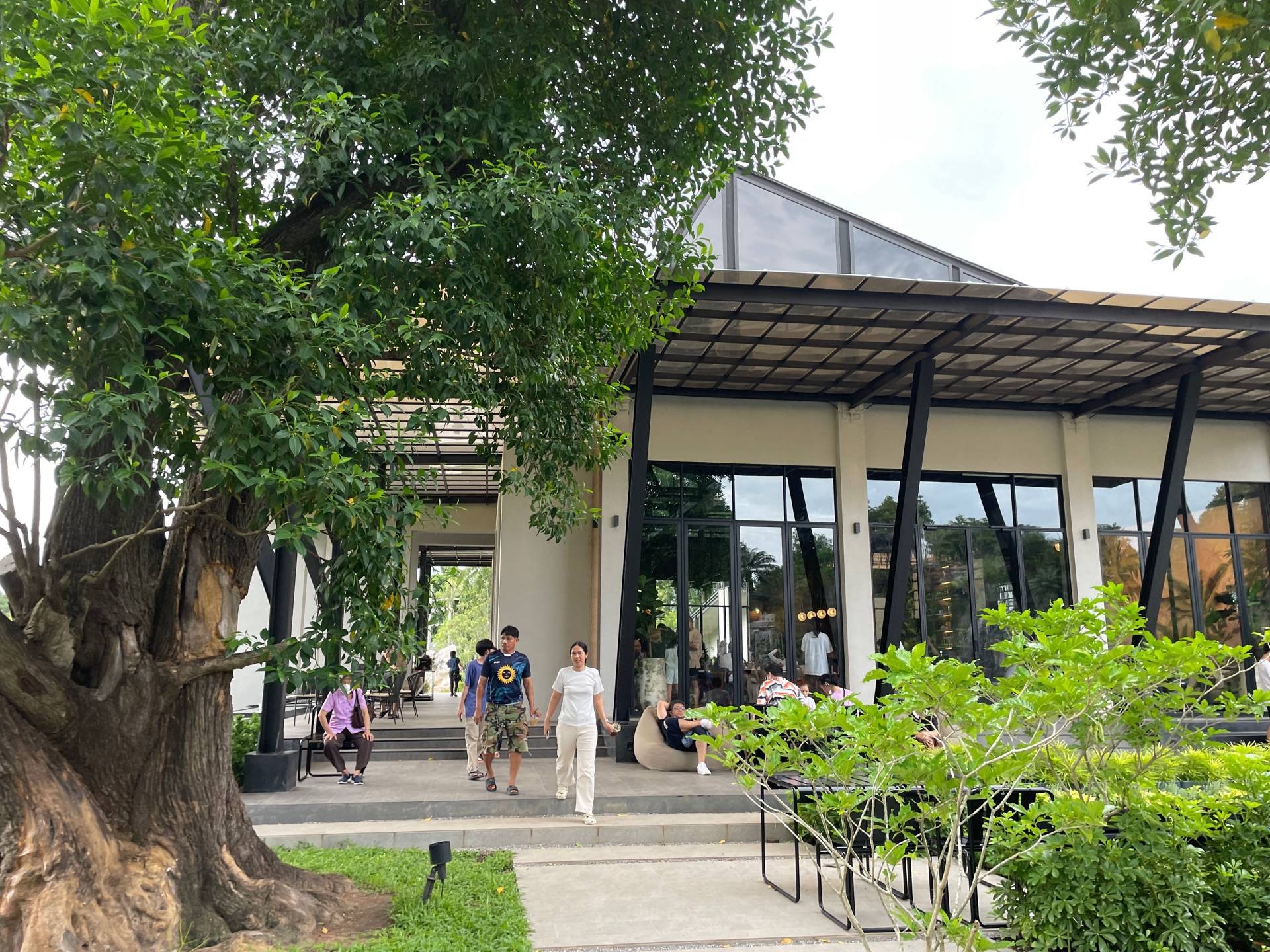 รูป U Forests cafe ระยอง