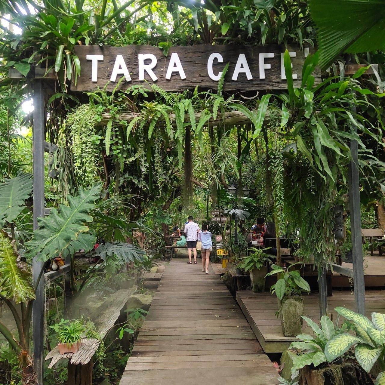 รีวิว Tara Cafe เขาใหญ่ - Tara cafe khaoyai