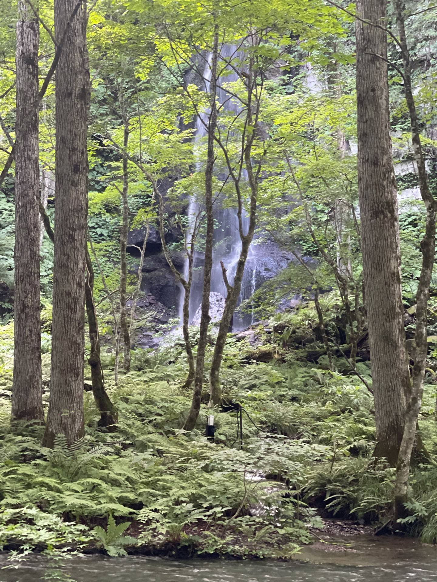 Oirase Gorge - รีวิวสถานที่ท่องเที่ยว