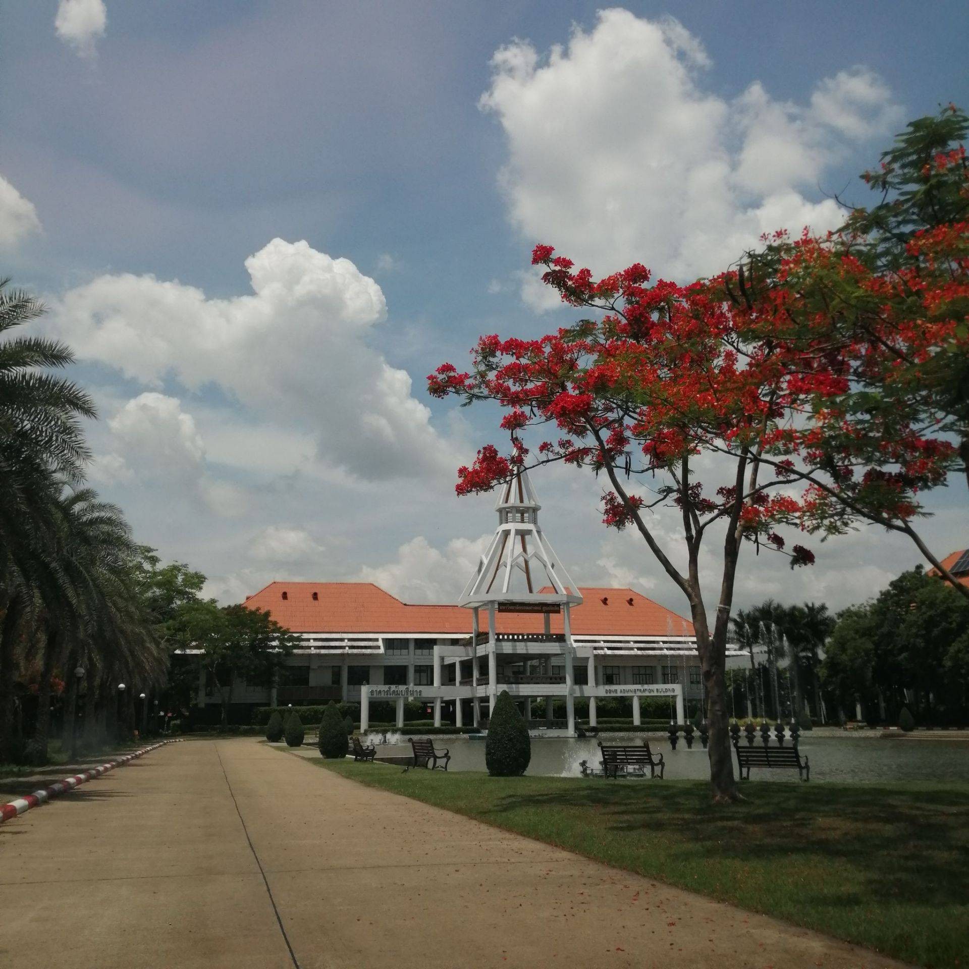 รูป Thammasat University Bookstore Rangsit