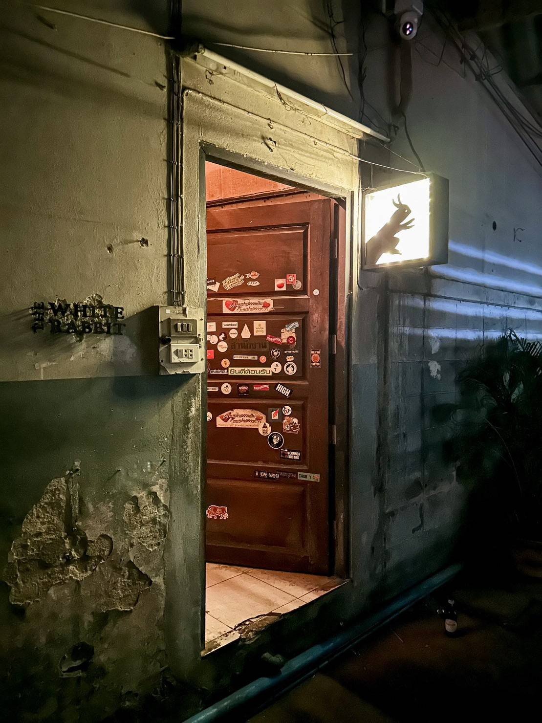 รีวิว The White Rabbit Speakeasy Cocktail Bar - บาร์ลับทางเข้าลึกลับ ...