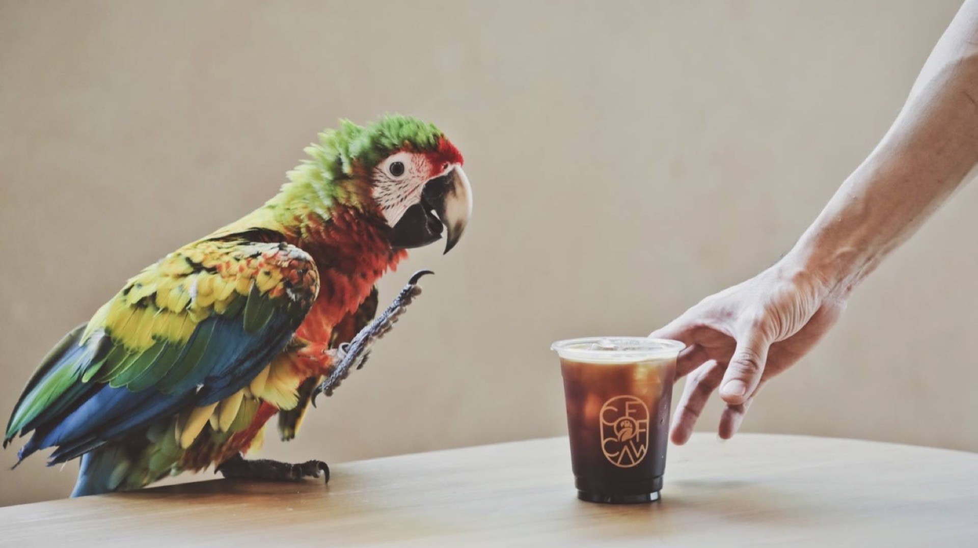 ร้าน Coff & Caw - | รีวิวร้านอาหาร