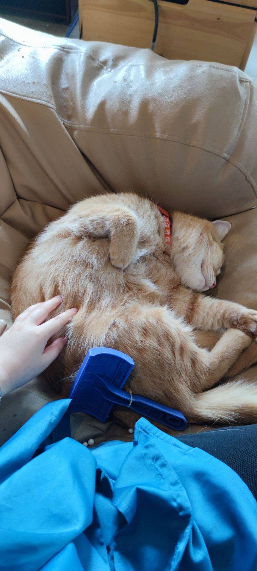 รูป Cazz Cafe - แคซคาเฟ่ สุขุมวิท พระโขนง