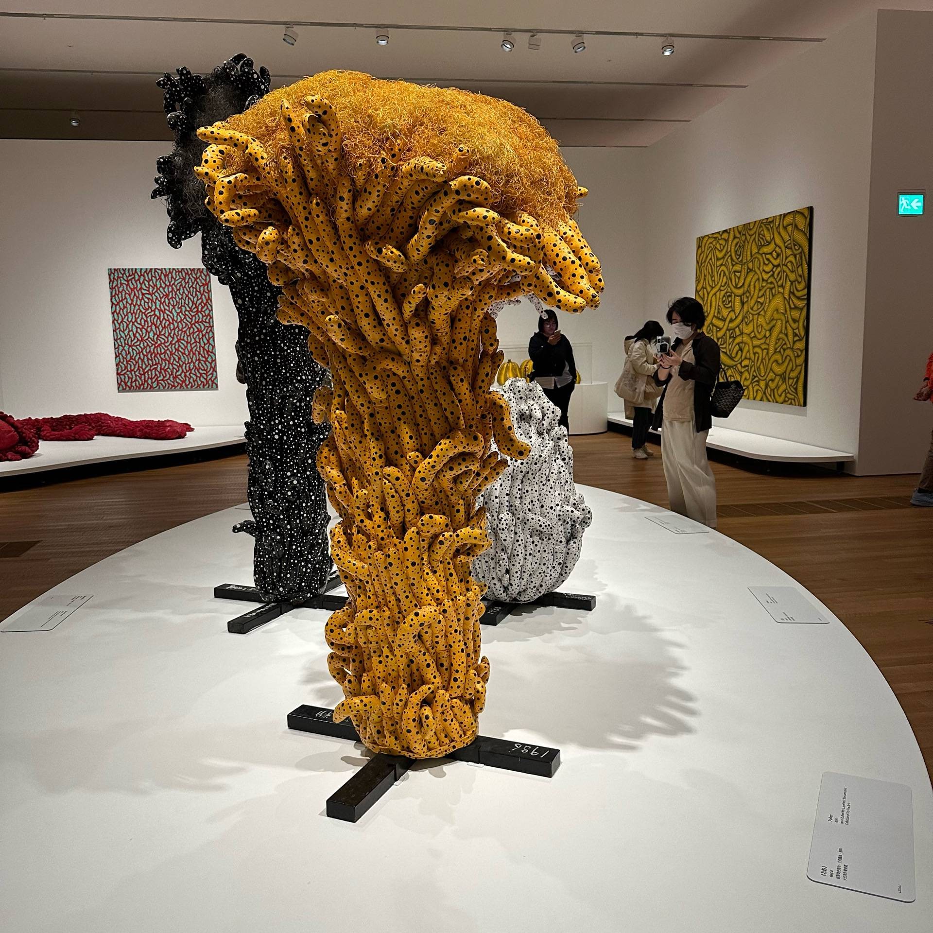 รูป M+ Museum