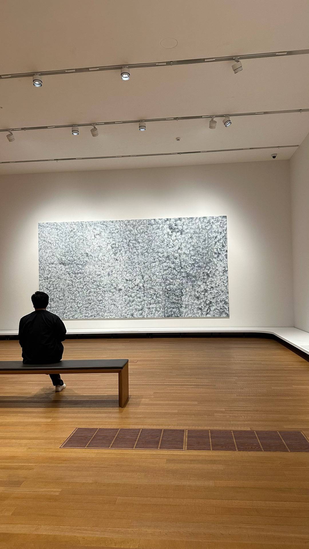 รูป M+ Museum