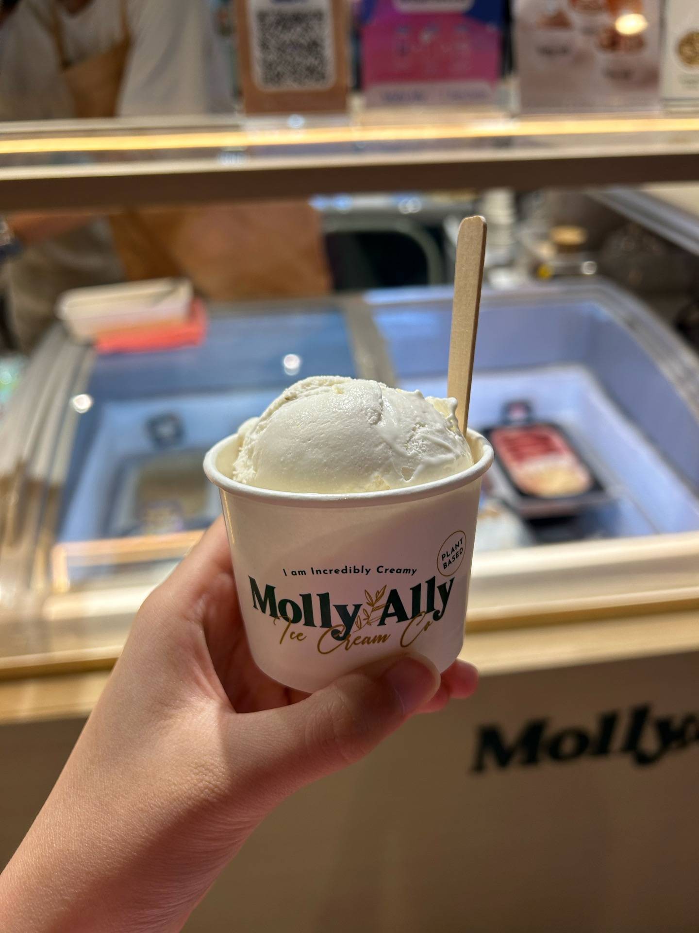 รีวิว Molly Ally สยามเซ็นเตอร์ - Ice cream อร่อย ไม่มีนมวัว