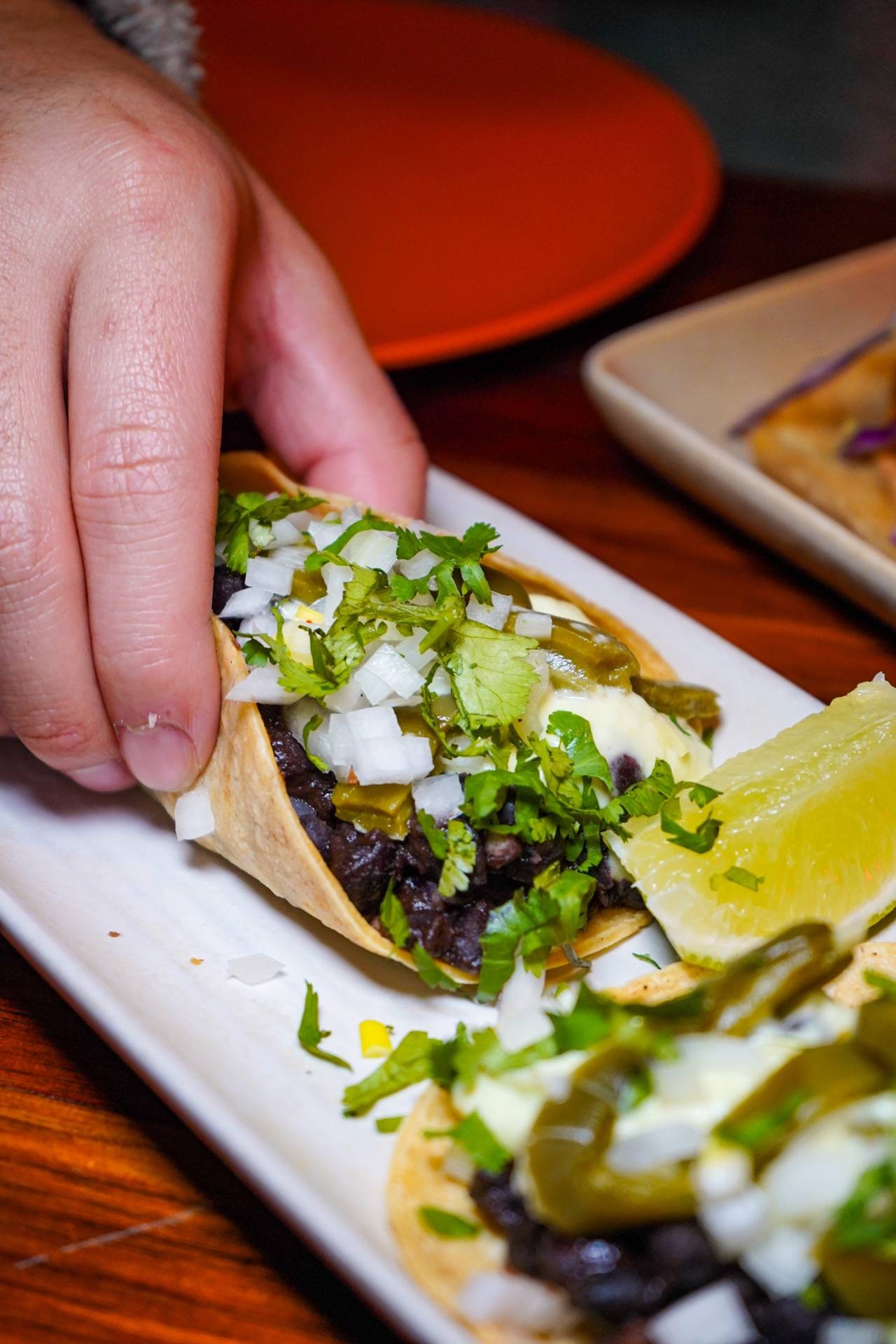 รีวิว Bodega Underground - Tastiest 🌵 cactus 🫘 black bean tacos!