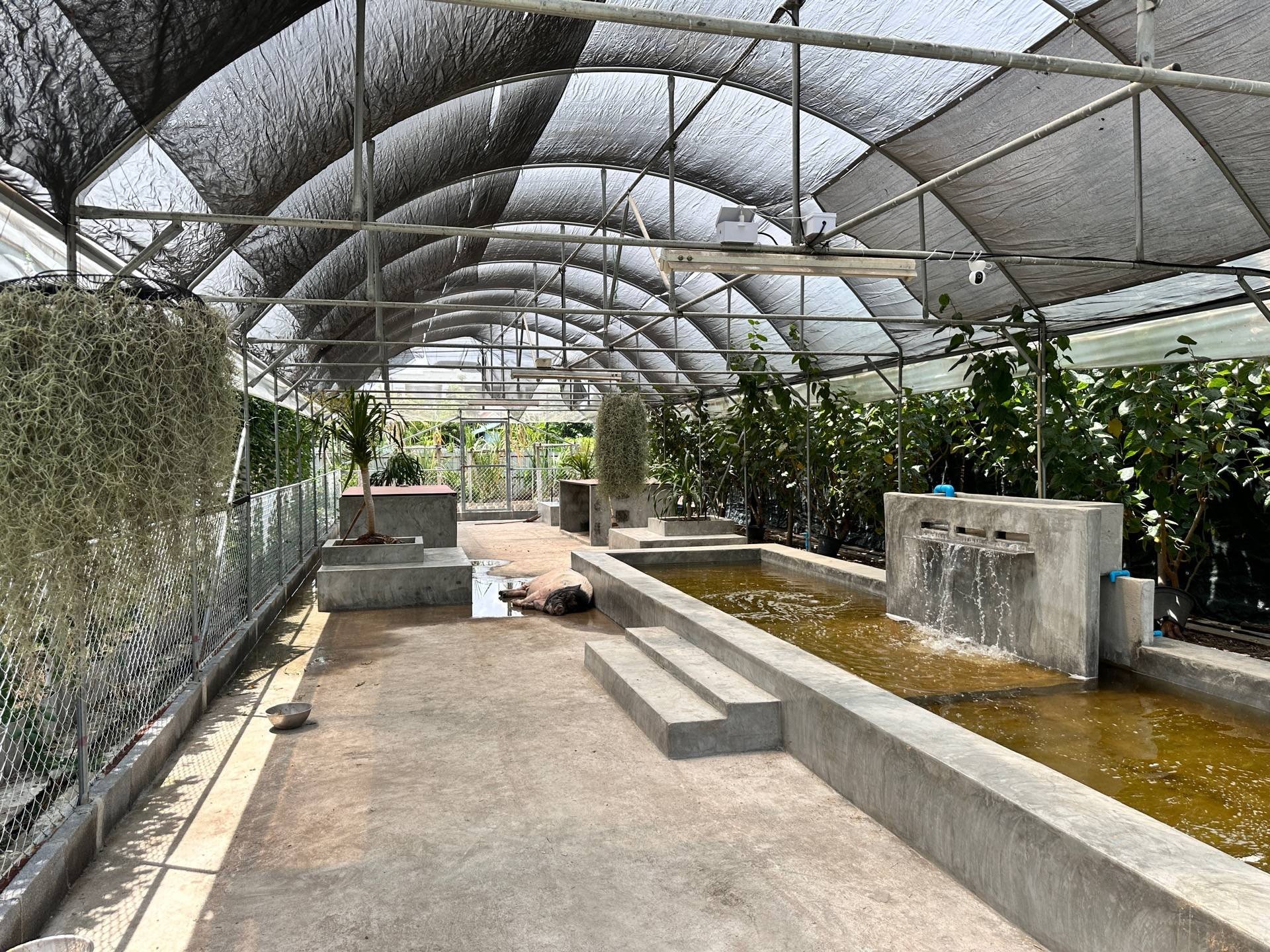 รูป All Weather Farm บางขุนเทียน-ชายทะเล ซอย20/1