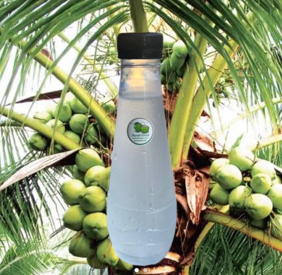 รีวิว Coco Ban Sae - น้ำผลไม้สด ไม่หวงส่วนผสม ราคาไม่แรง เมื่อเทียบกับ ...