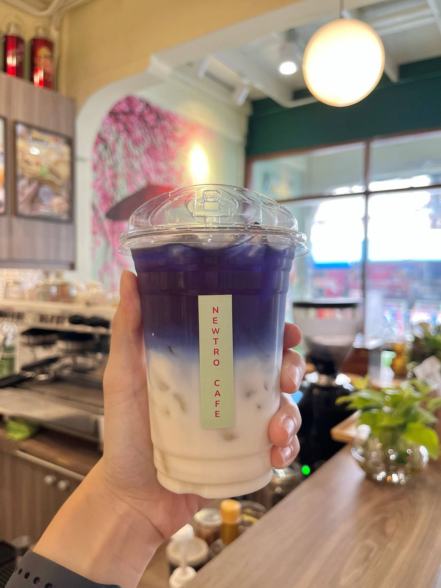 Butterfly Pea Coconut Milk ร้าน Newtro Cafe บรรทัดทอง