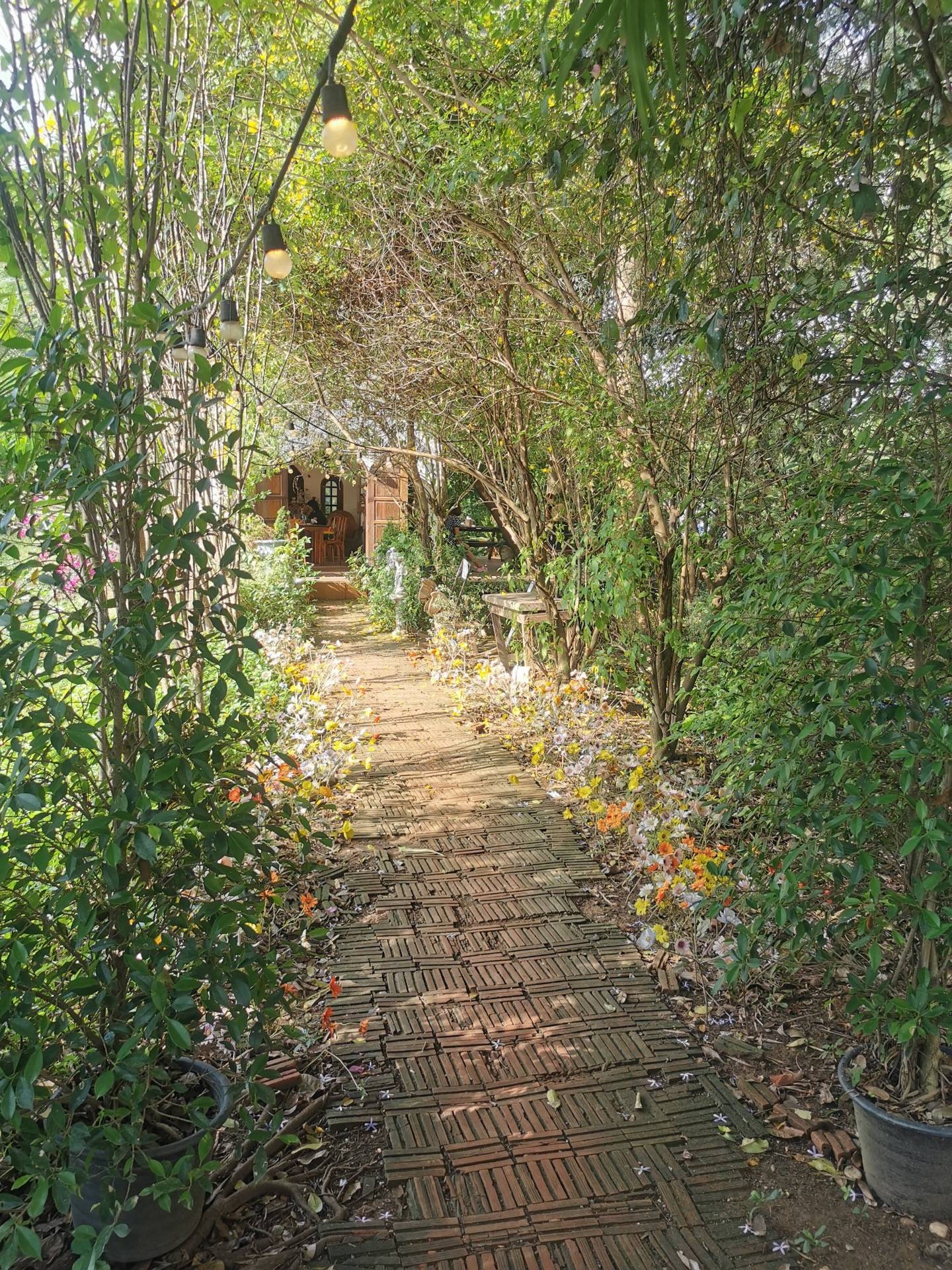 รีวิว Rice Field Home Farm Stay & Cafe Saraburi - คาเฟ่ฟิลบ้านน่ารัก