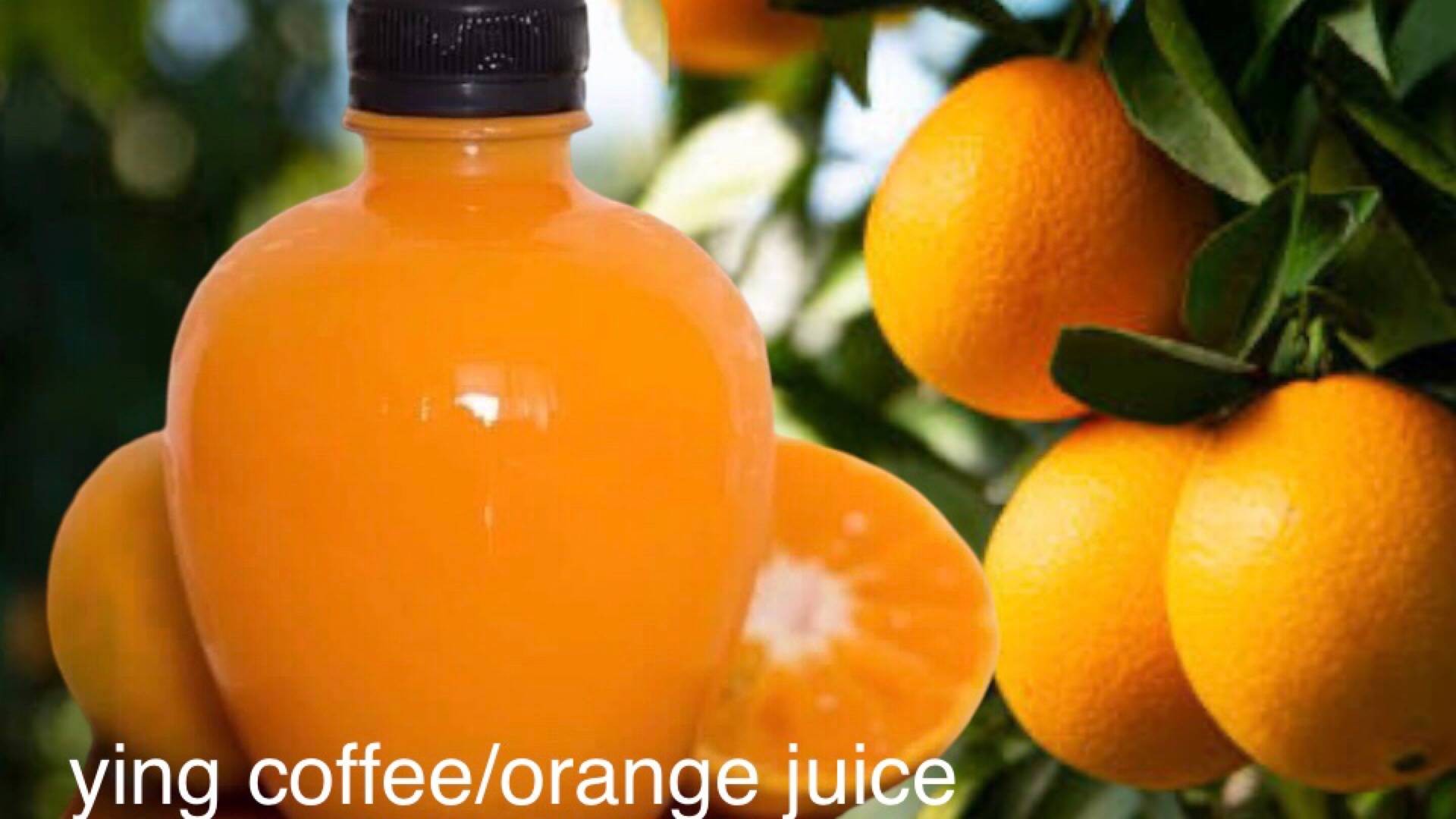 ying coffee / Orange Juice - สั่งอาหารเดลิเวอรี | Wongnai x LINE MAN