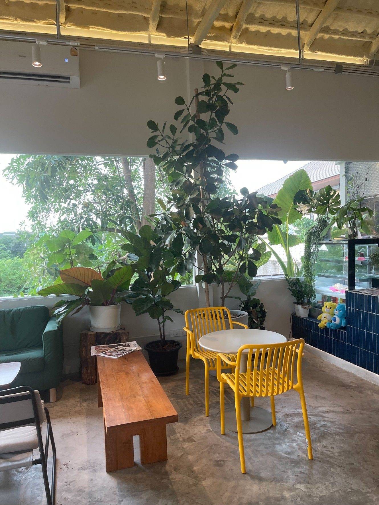 รีวิว Summer Rain Cafe&Casual Dining - Summer Rain - Cafe & Casual Dining