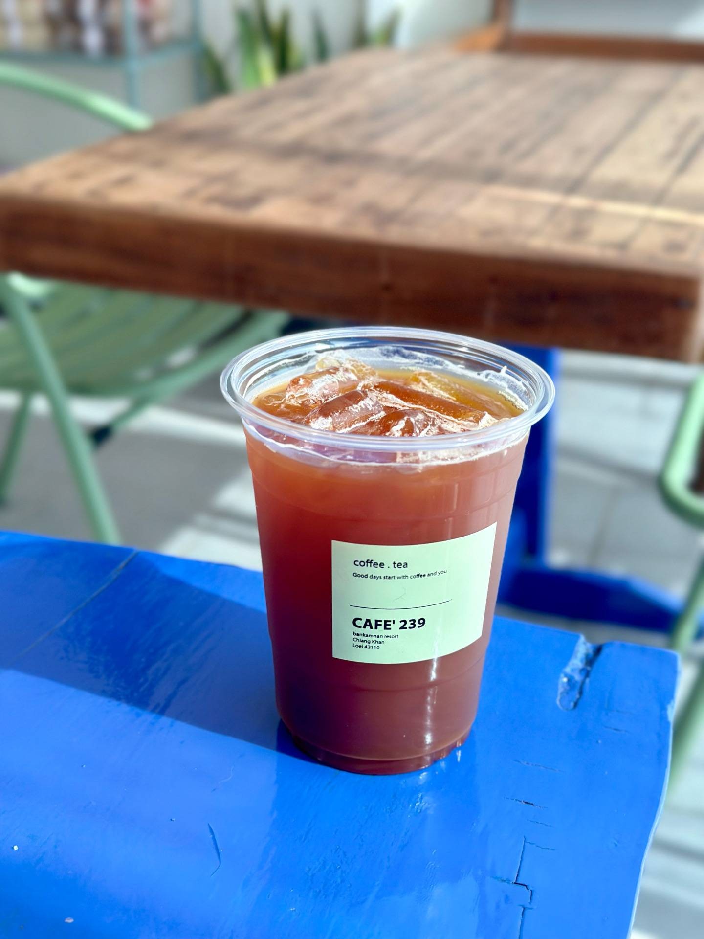 ร้าน กาแฟสด CAFE' 239 เชียงคาน | รีวิวร้านอาหาร