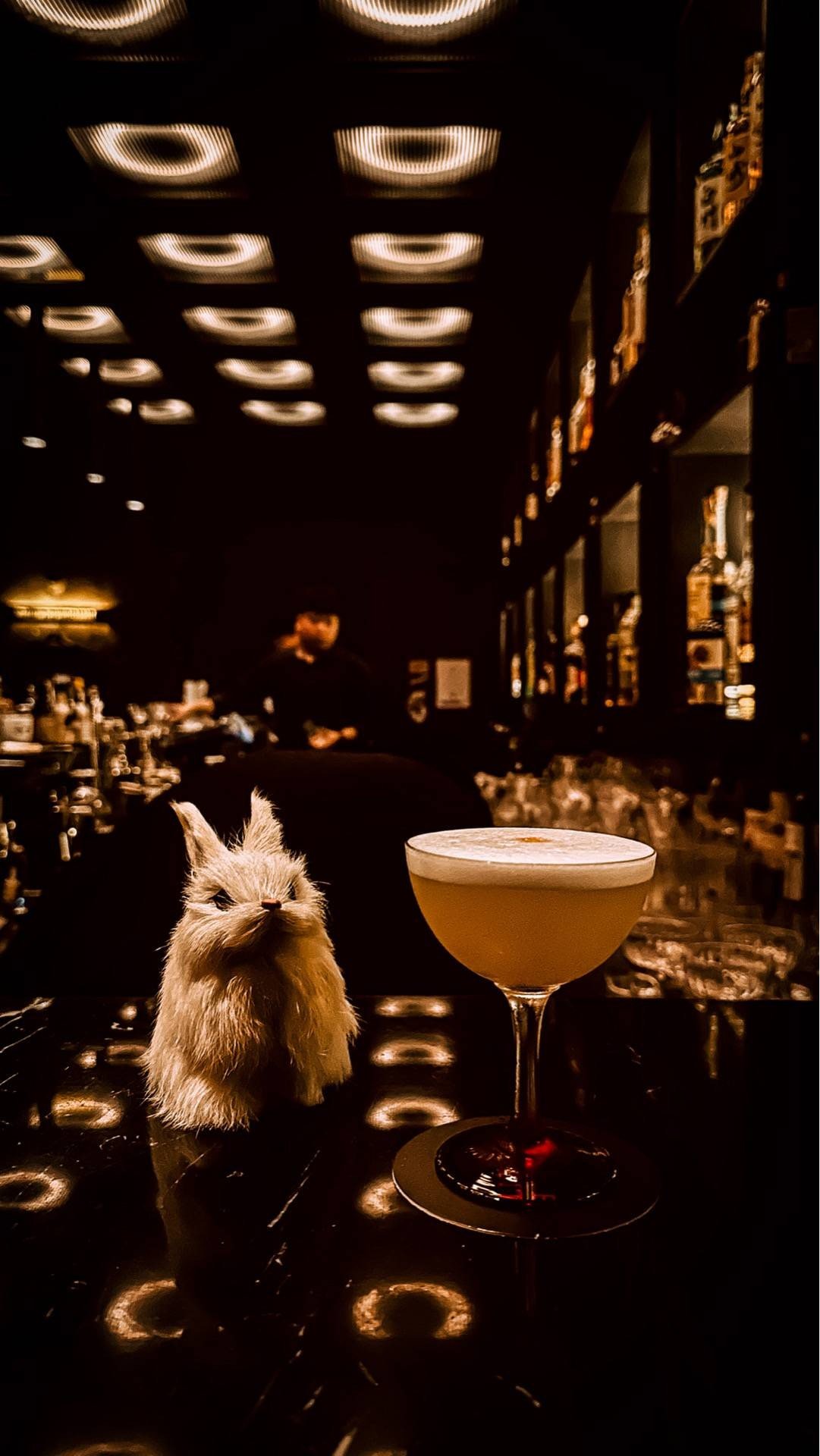 รีวิว The White Rabbit Speakeasy Cocktail Bar - บาร์ลับใจกลางเชียงใหม่