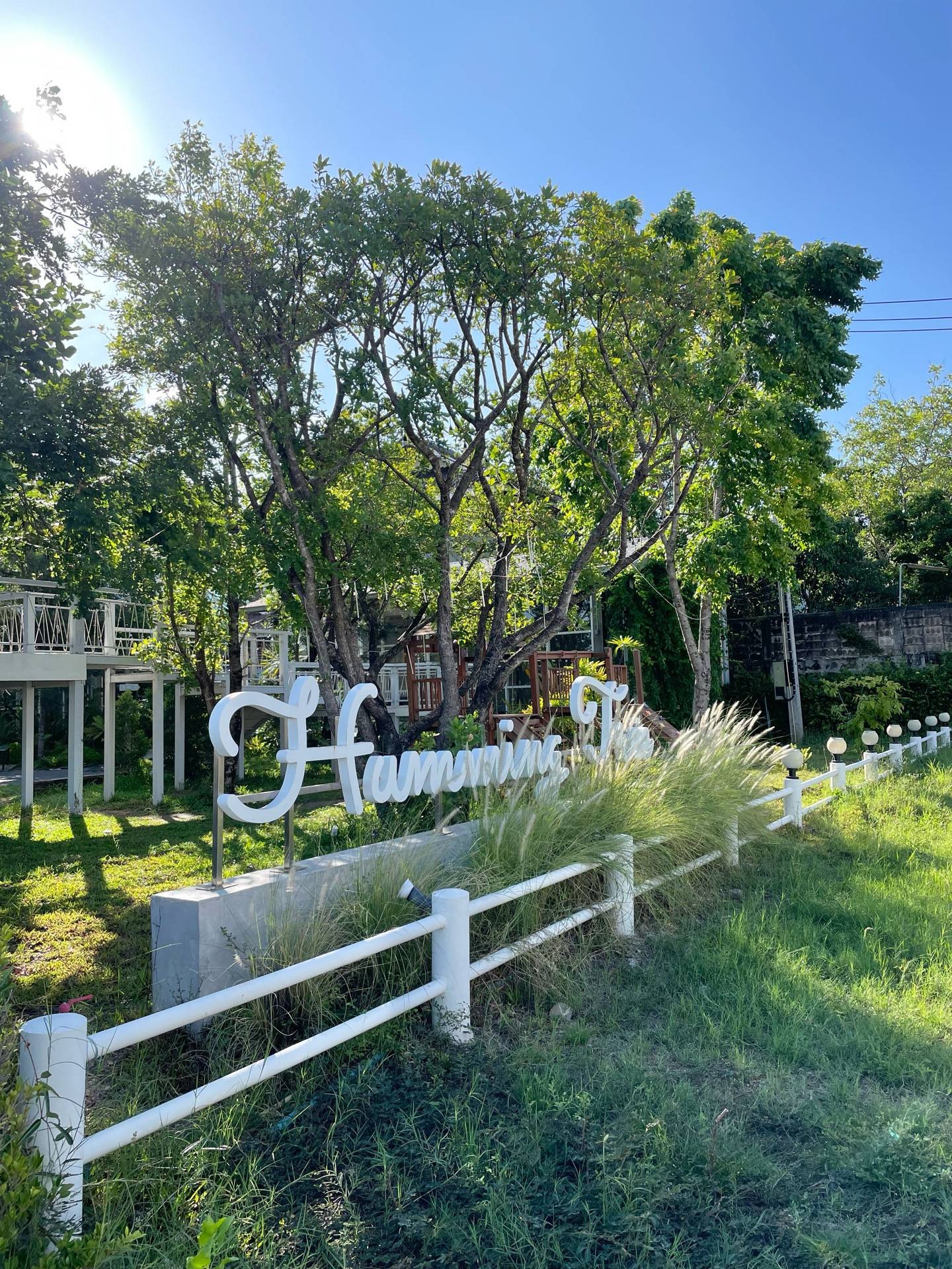 รีวิว มาดิ การ์เด้น - กาแฟดี อาหารอร่อย บรรยากาศรายล้อมด้วยสวนต้นไม้ ...