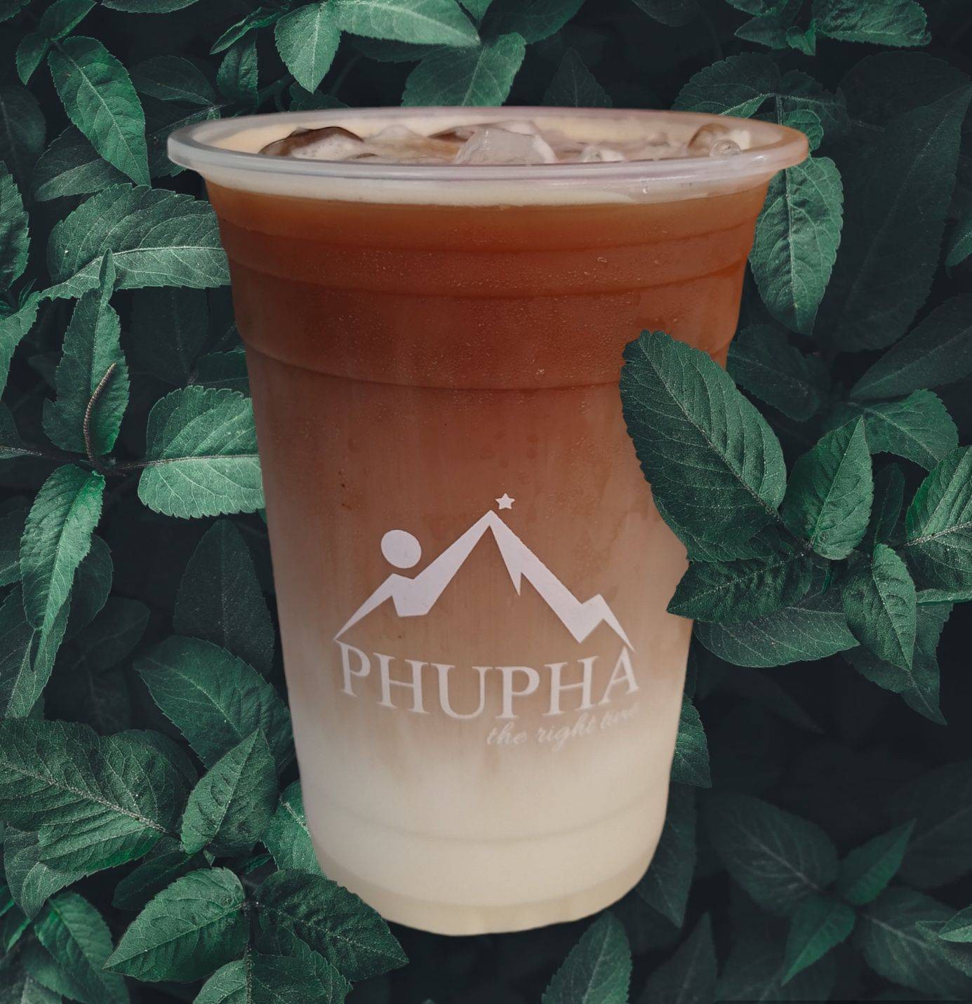 ร้าน Phupha café - ภูผาคาเฟ่ (เครื่องดื่ม&กาแฟสด) | รีวิวร้านอาหาร