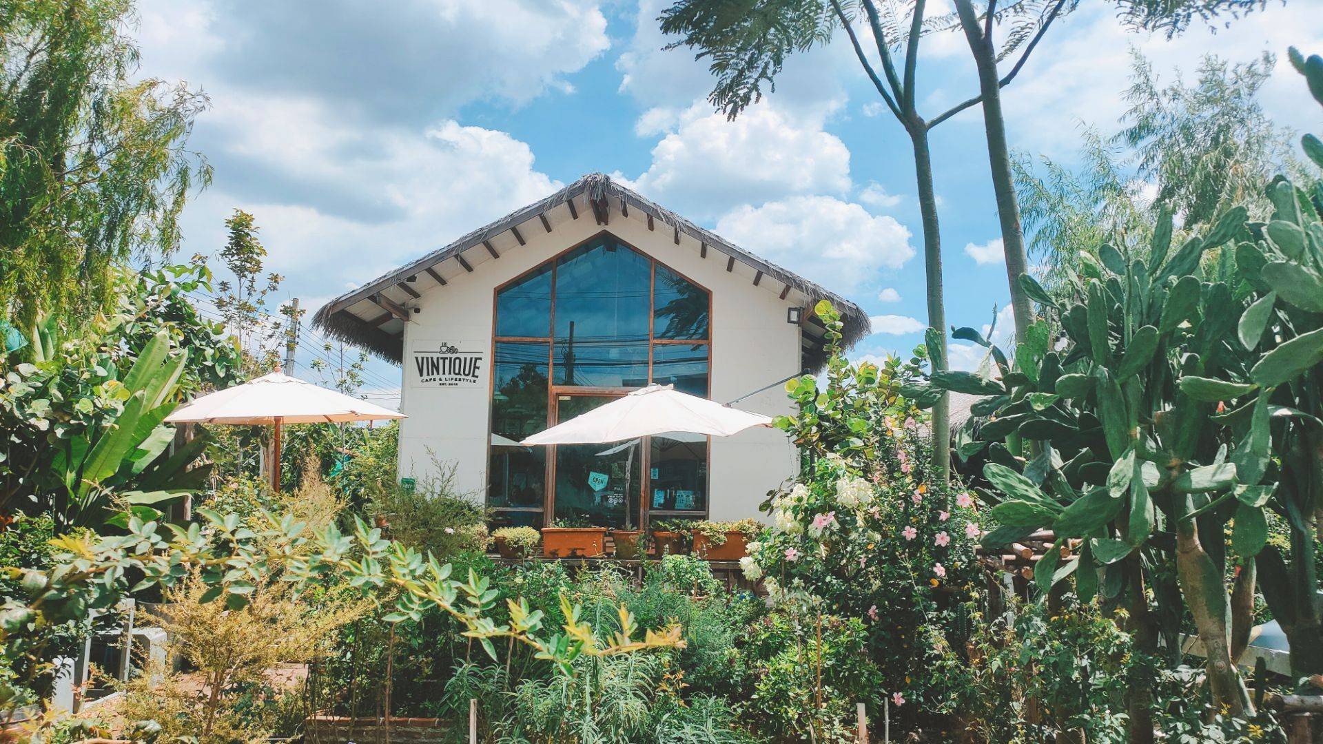 รีวิว Vintique Cafe & Lifestyle - คาเฟ่บรรยากาศดี วิวท้องนา ย่านคลองสามวา