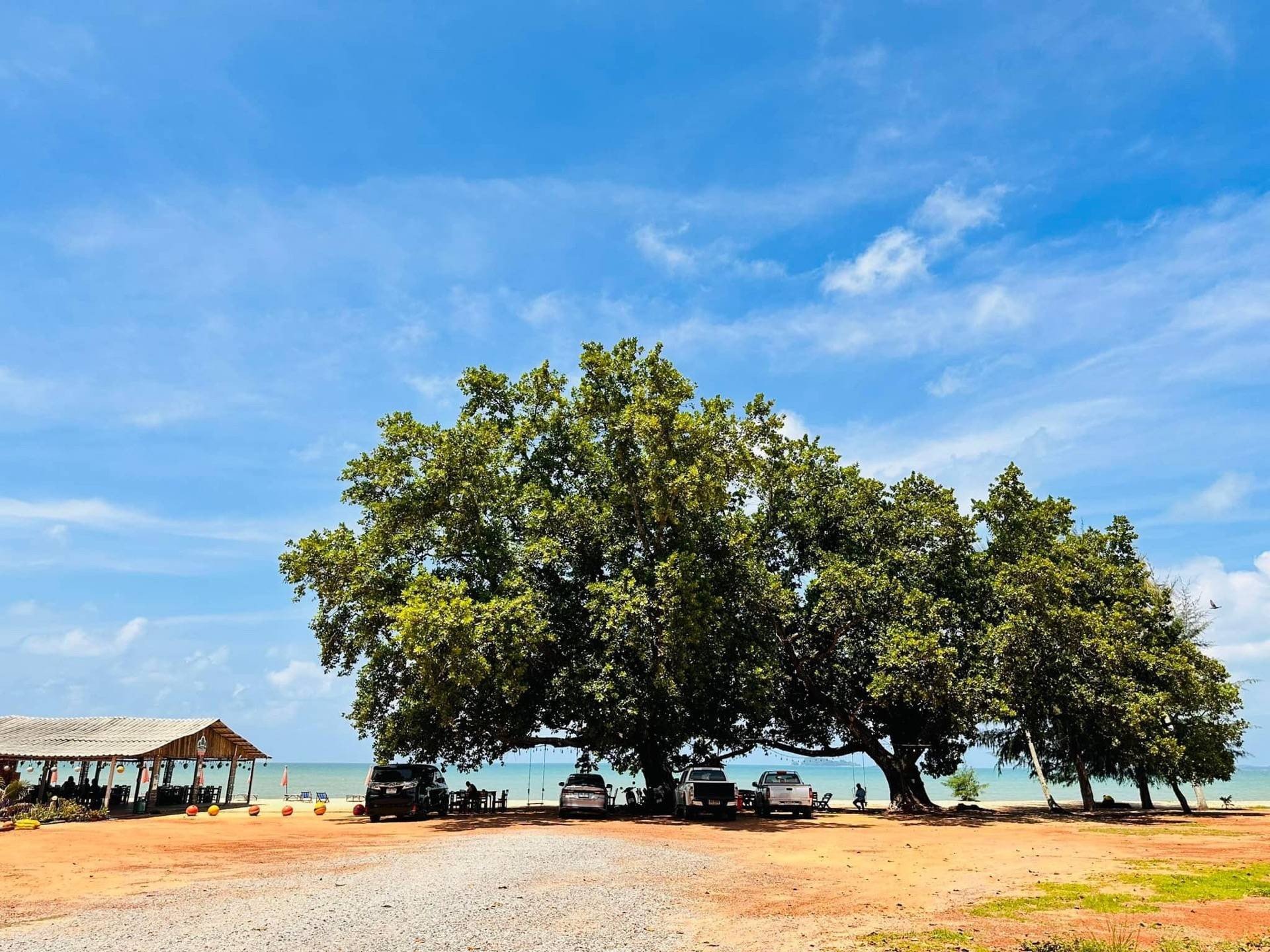 รีวิว Three Tree Beach - ร้านอาหารริมชายหาดส่วนตัว