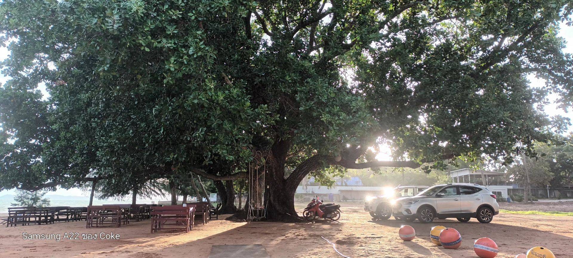 รีวิว Three Tree Beach - อาหารอร่อย บรรยากาศดี มีลานกางเต๊นท์ รับจัด ...