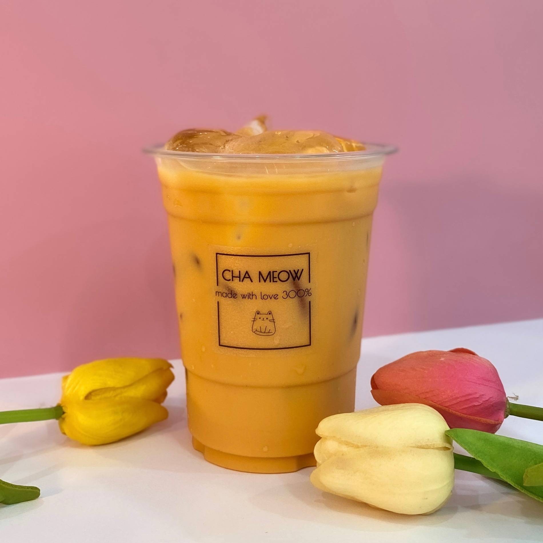 ร้าน CHA MEOW | รีวิวร้านอาหาร